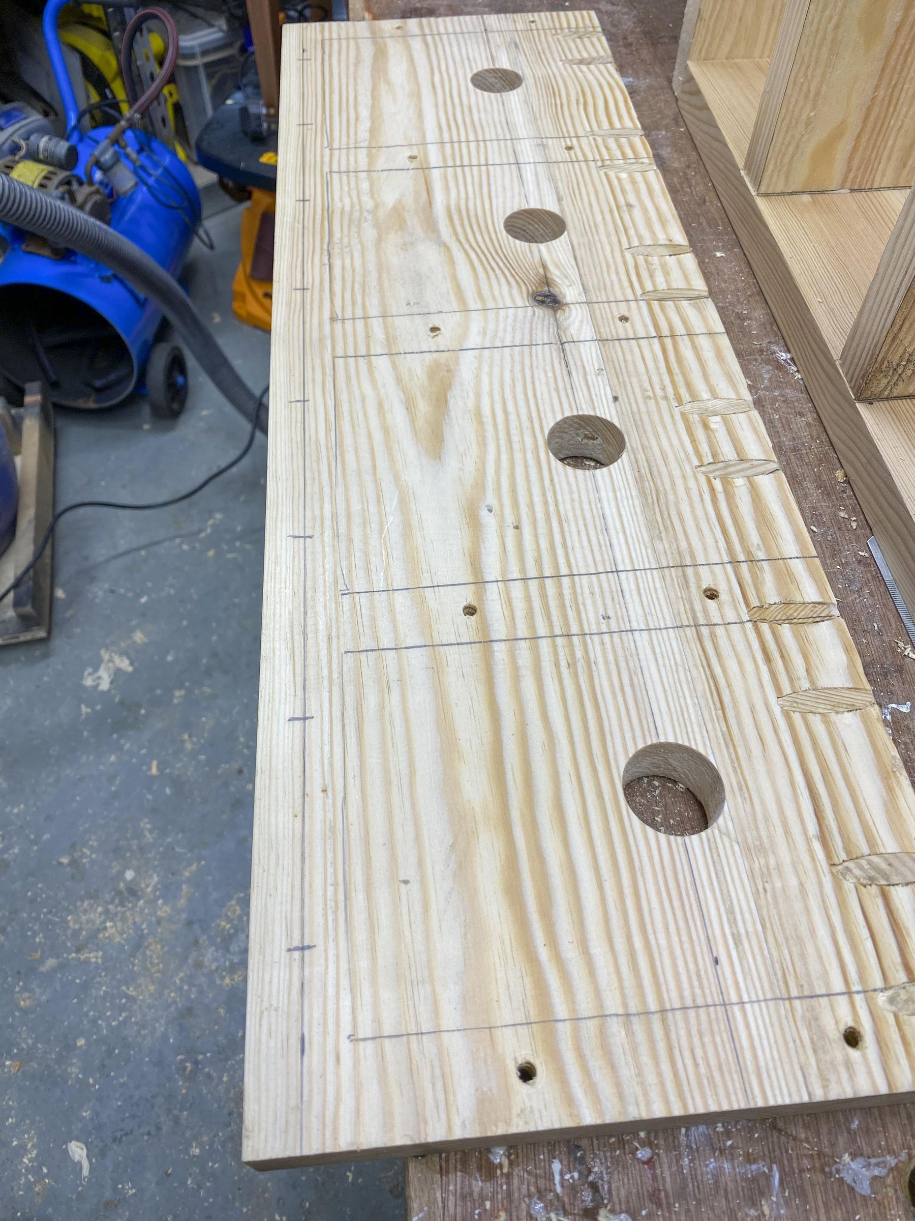 🐦 House Sparrow 🐦 Bird Box Terrace 🐦 : 11 Steps (with Pictures ...