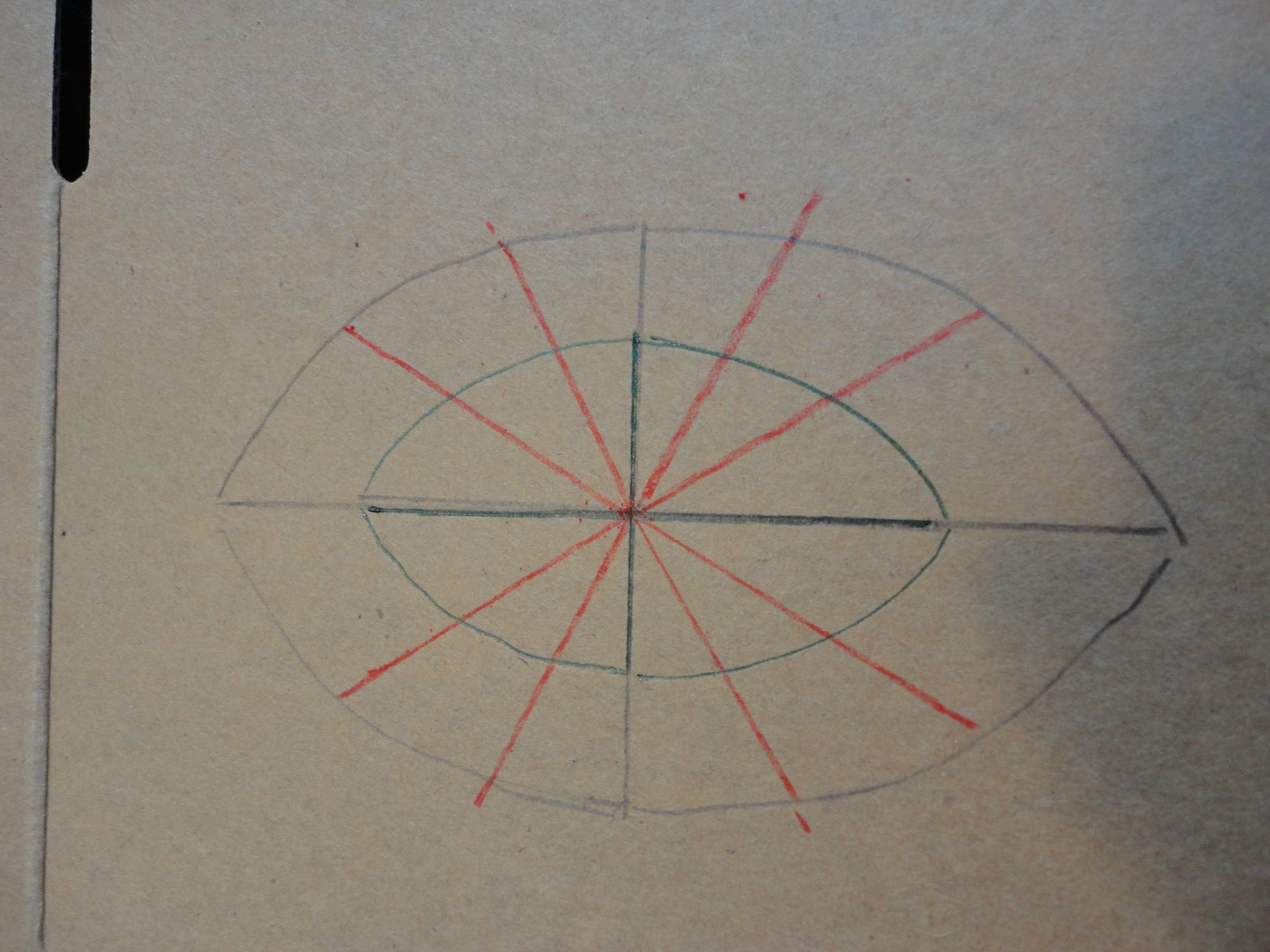 "Crush" Turtle Cardboard Costume! : 12 Steps - Instructables