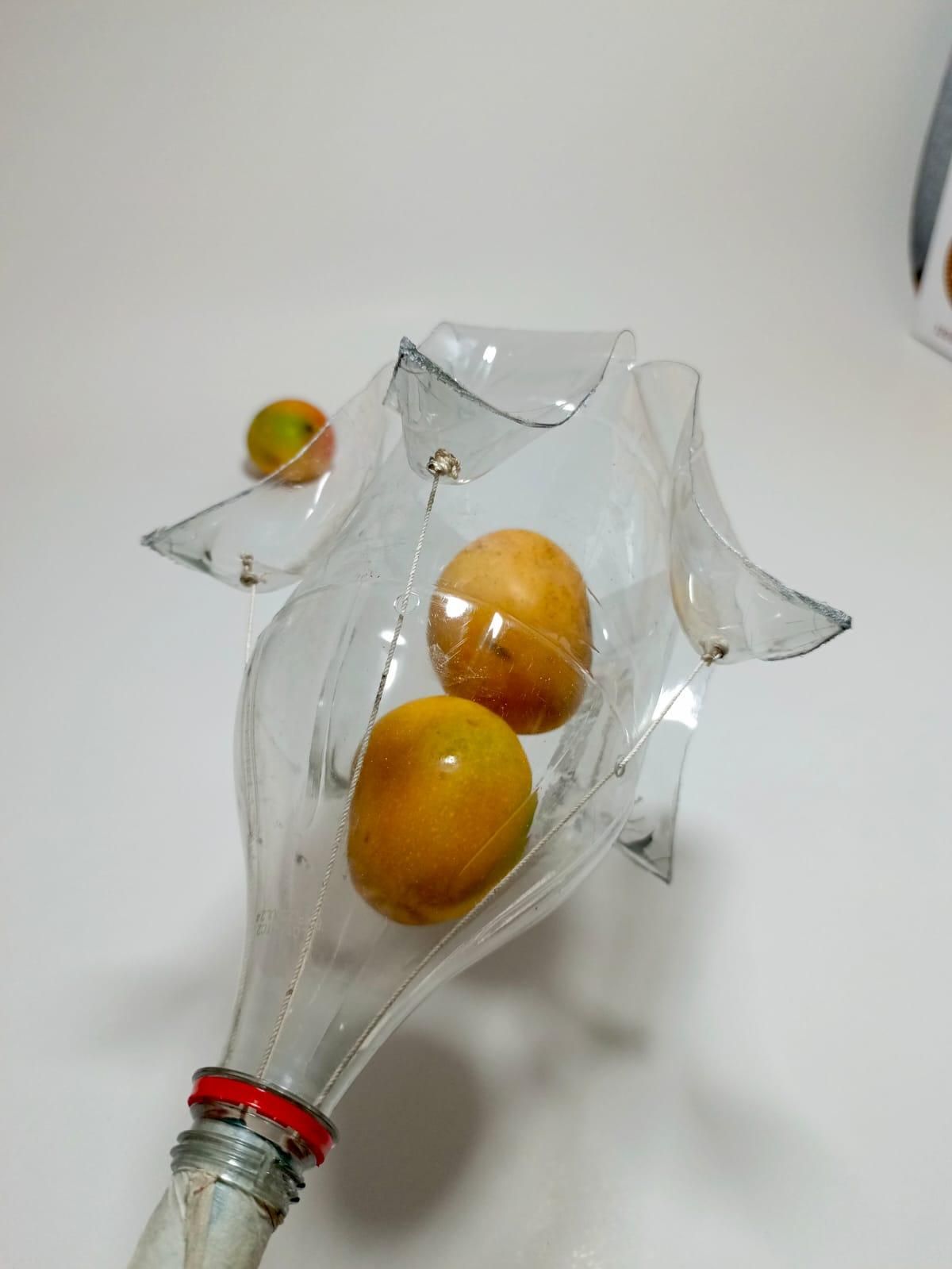 Homemade Fruit Picker : 14 Steps (with Pictures) - Instructables