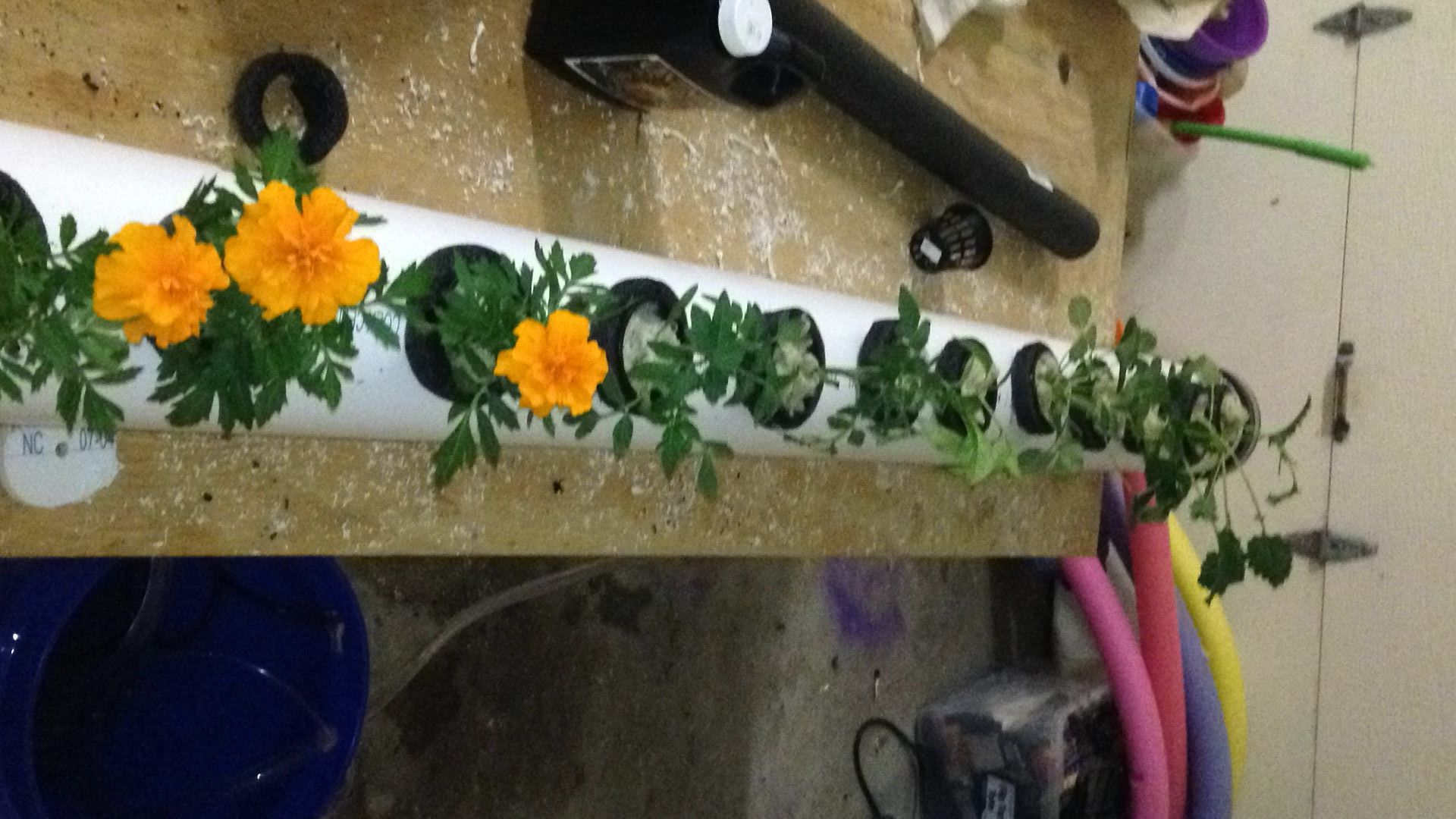 Hydroponics System : 3 Steps - Instructables