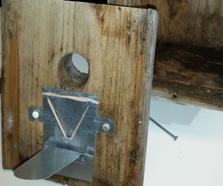 Sparrow Trap : 7 Steps - Instructables