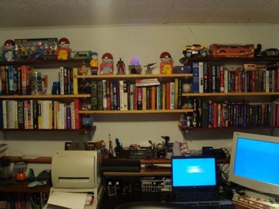 Hoarding Made Easy or Organizing With Shelves : 7 Steps - Instructables