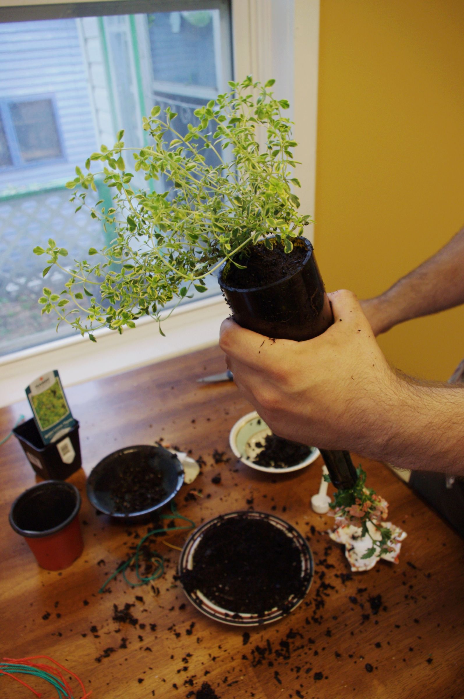 Inverted Wine Bottle Planter : 7 Steps (with Pictures) - Instructables