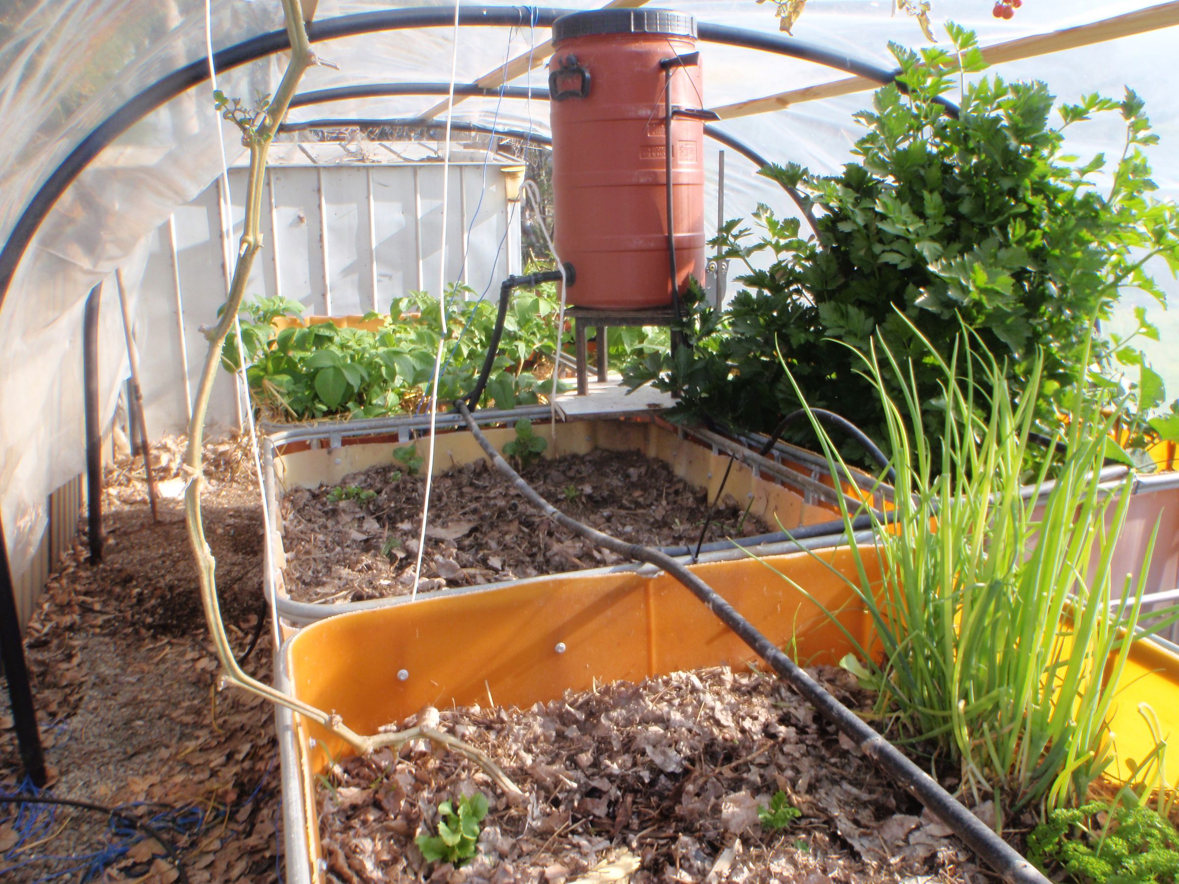 Vermiponic Garden : 12 Steps (with Pictures) - Instructables