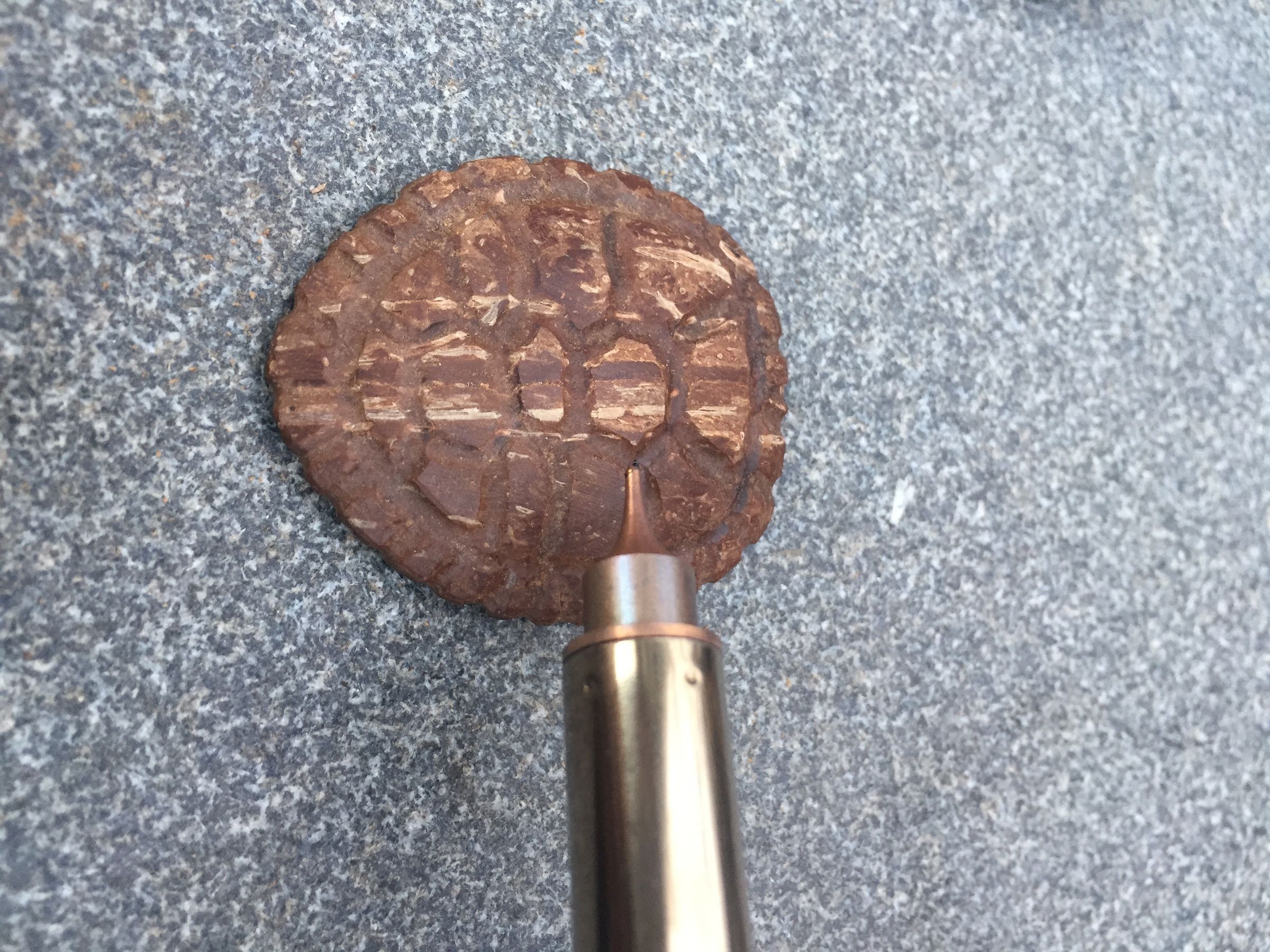 Turtle Shell From Coconut : 6 Steps (with Pictures) - Instructables