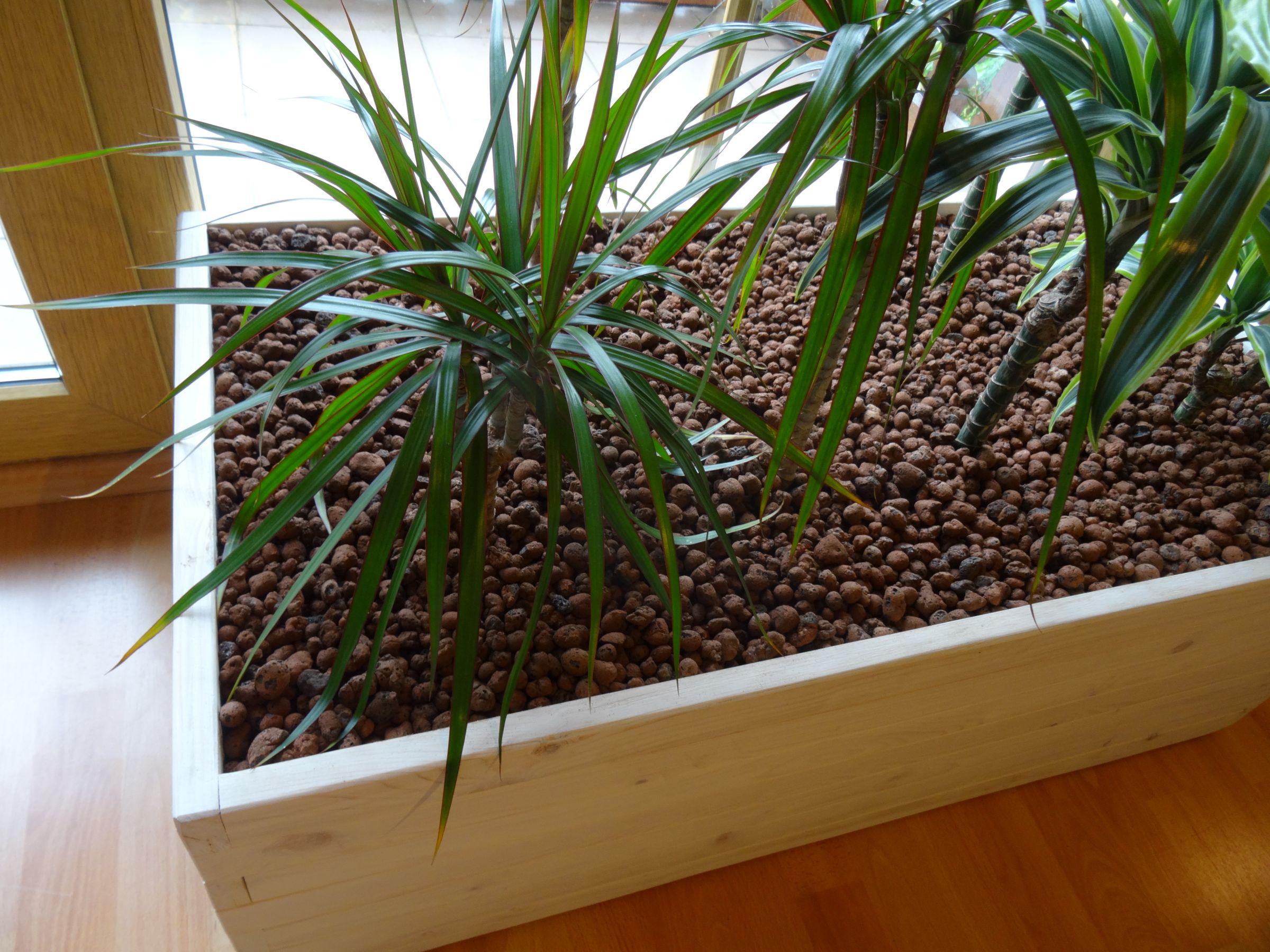 Flower Box With Hydroculture : 7 Steps - Instructables