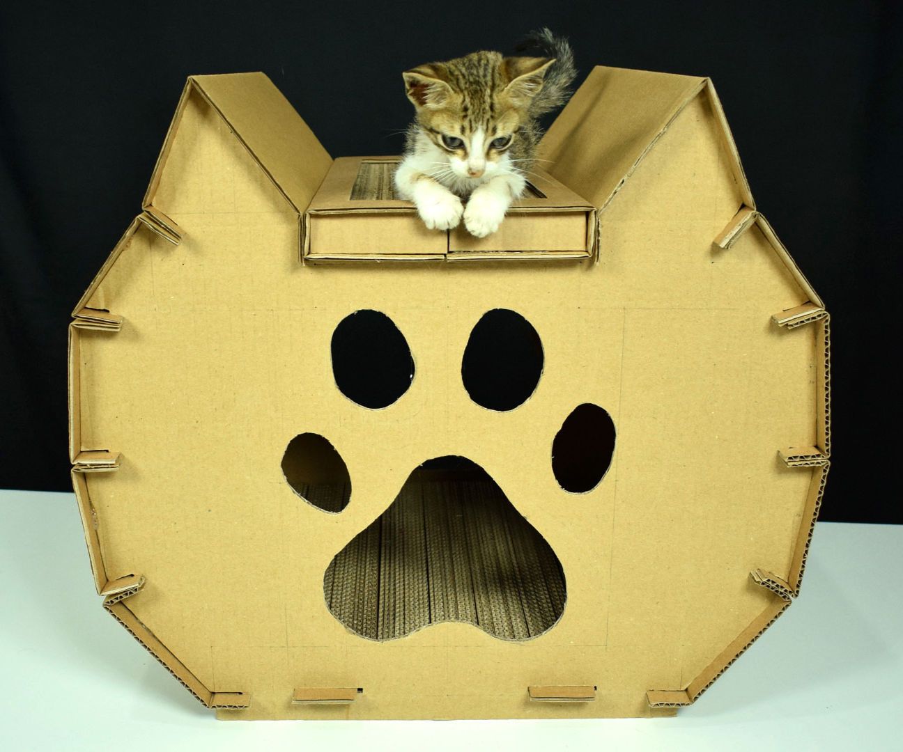 Cardboard Cat House With Scratcher : 4 Steps (with Pictures ...