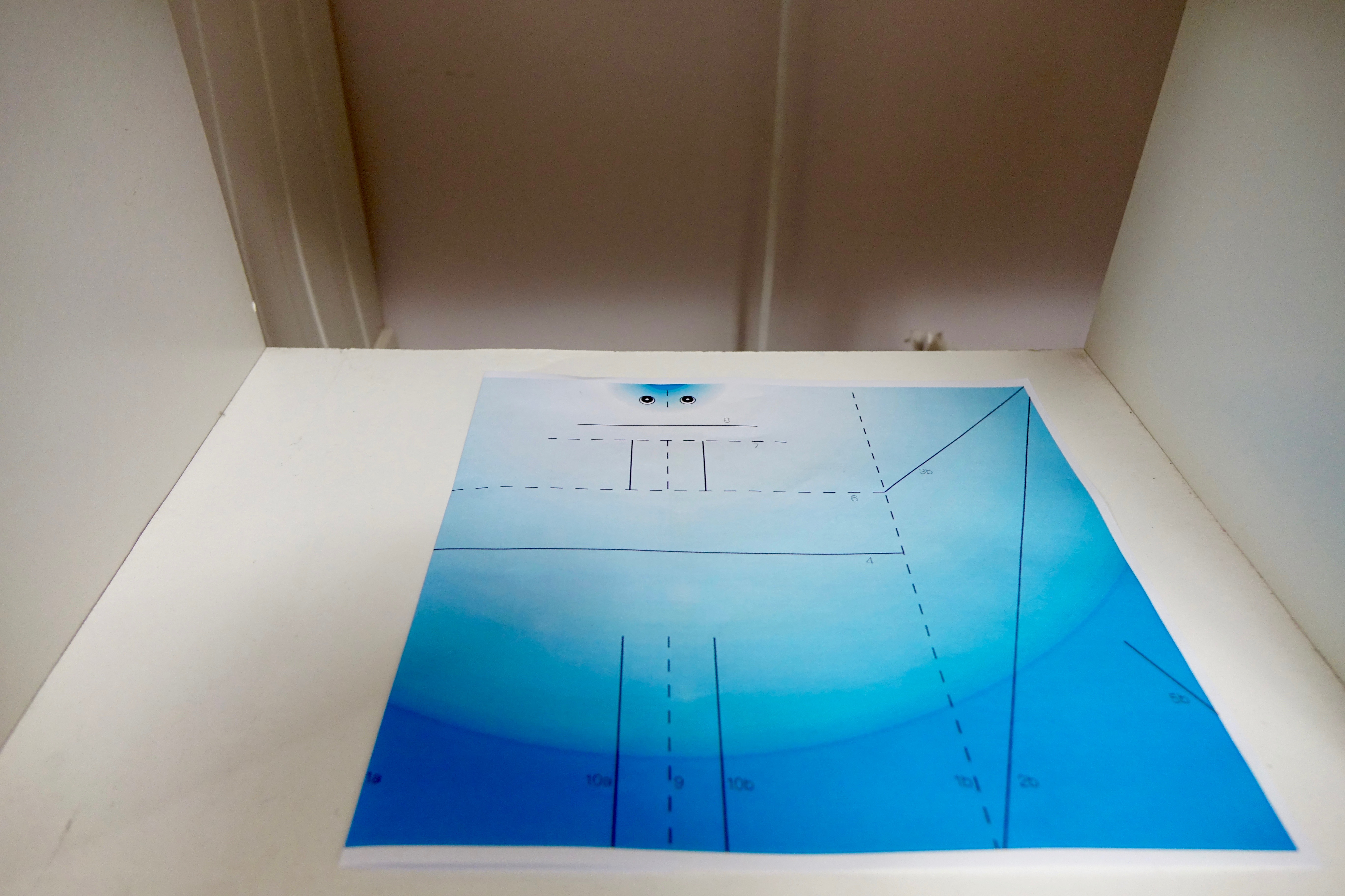 Flapping Paper Plane (Print Version) : 15 Steps (with Pictures ...