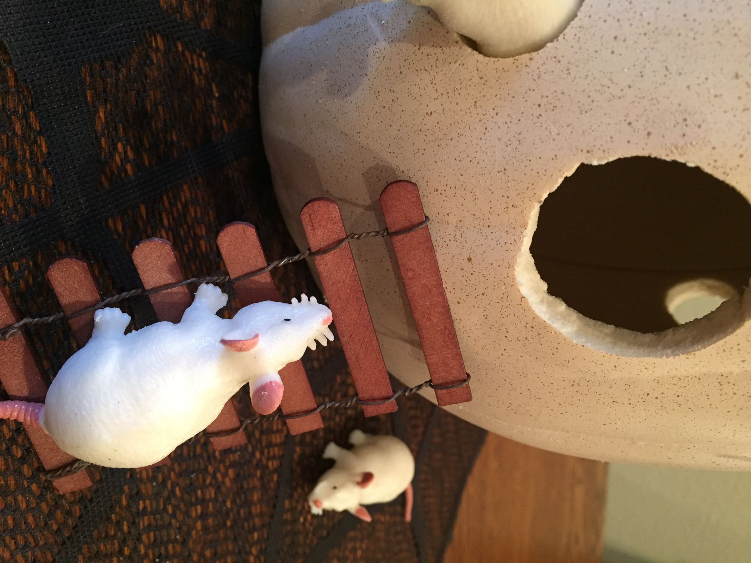 Swiss Cheese Mouse House : 4 Steps (with Pictures) - Instructables