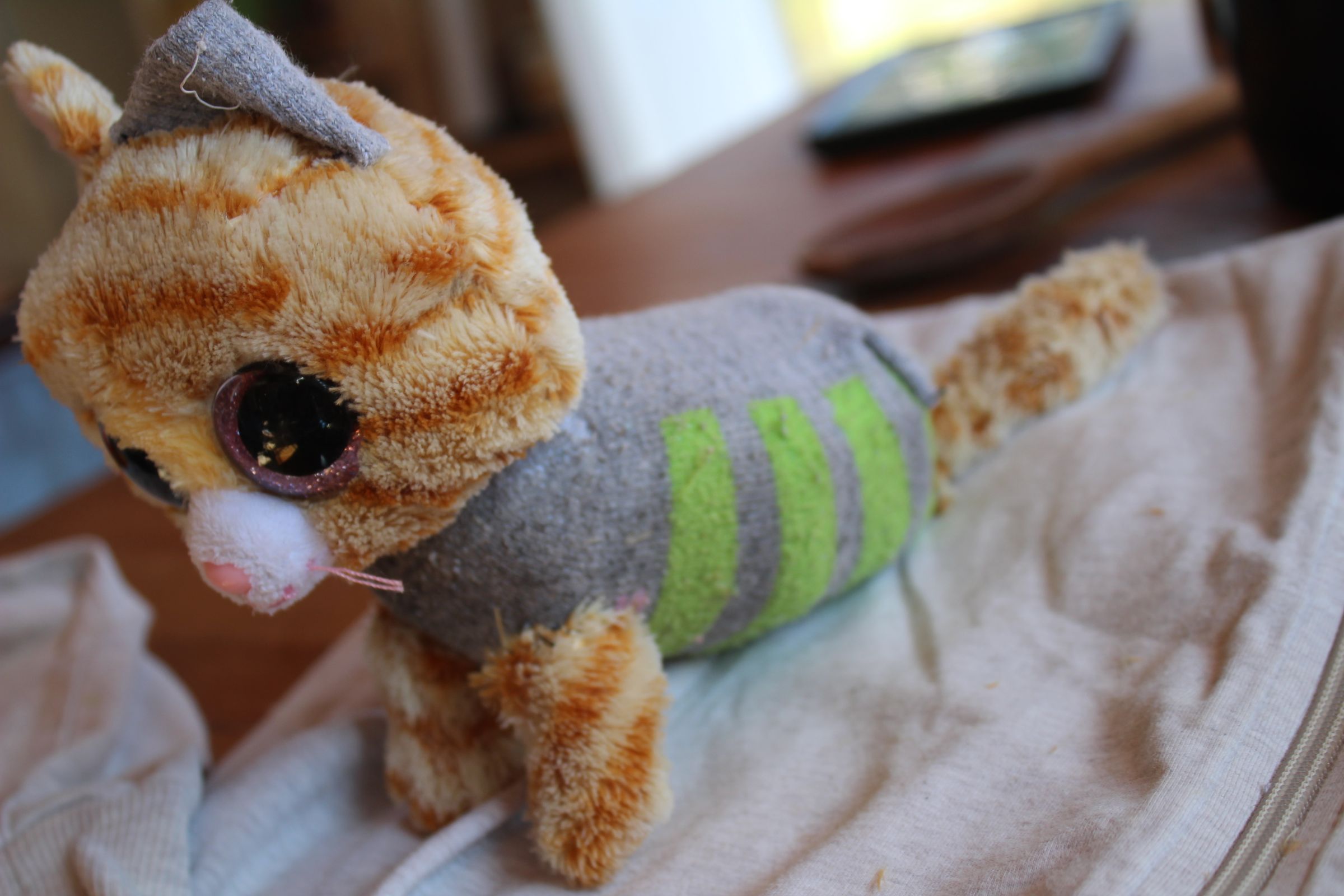 How to Make a Franken-Kitty : 4 Steps (with Pictures) - Instructables