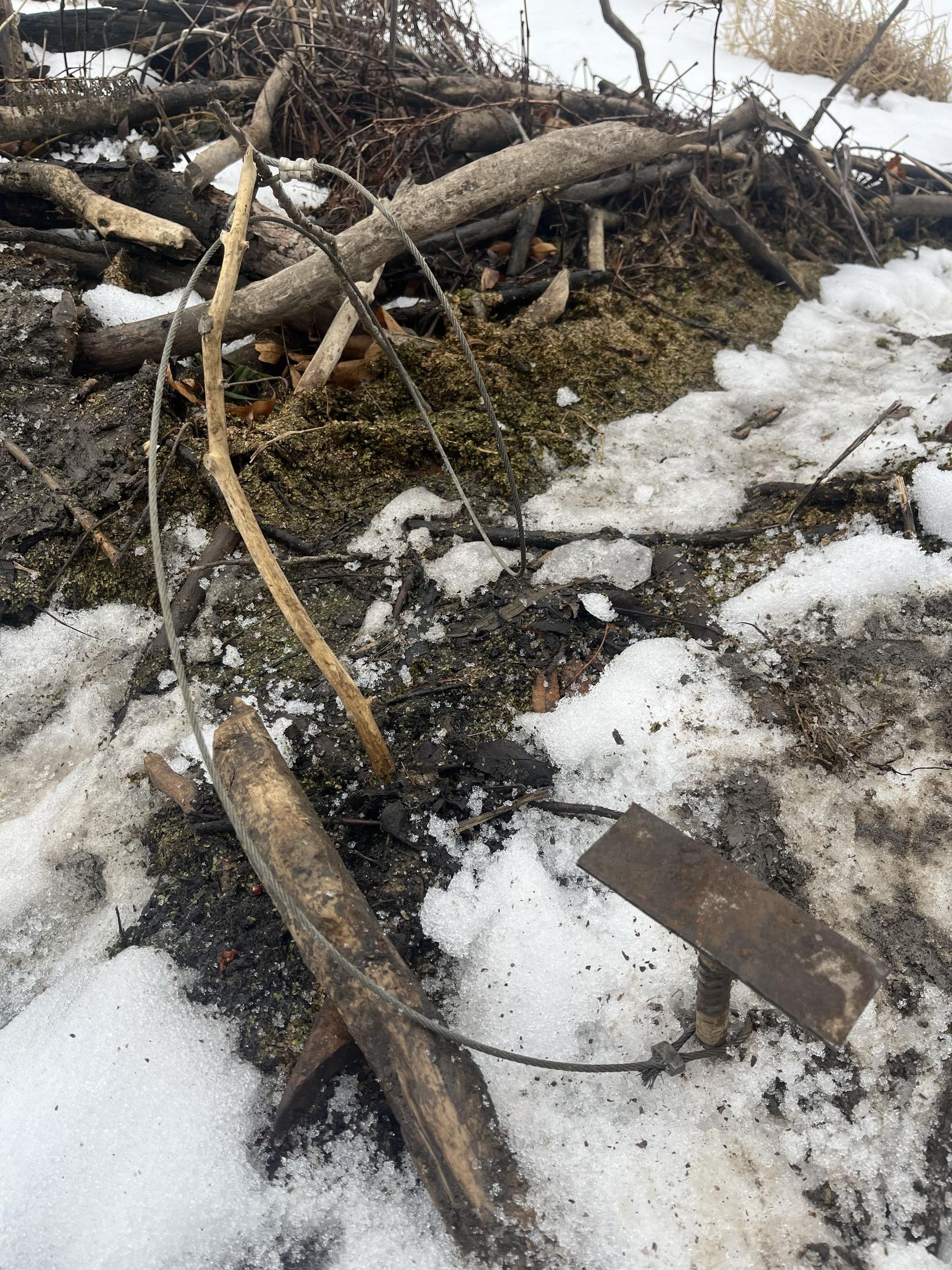 Trapping 101 : 4 Steps - Instructables