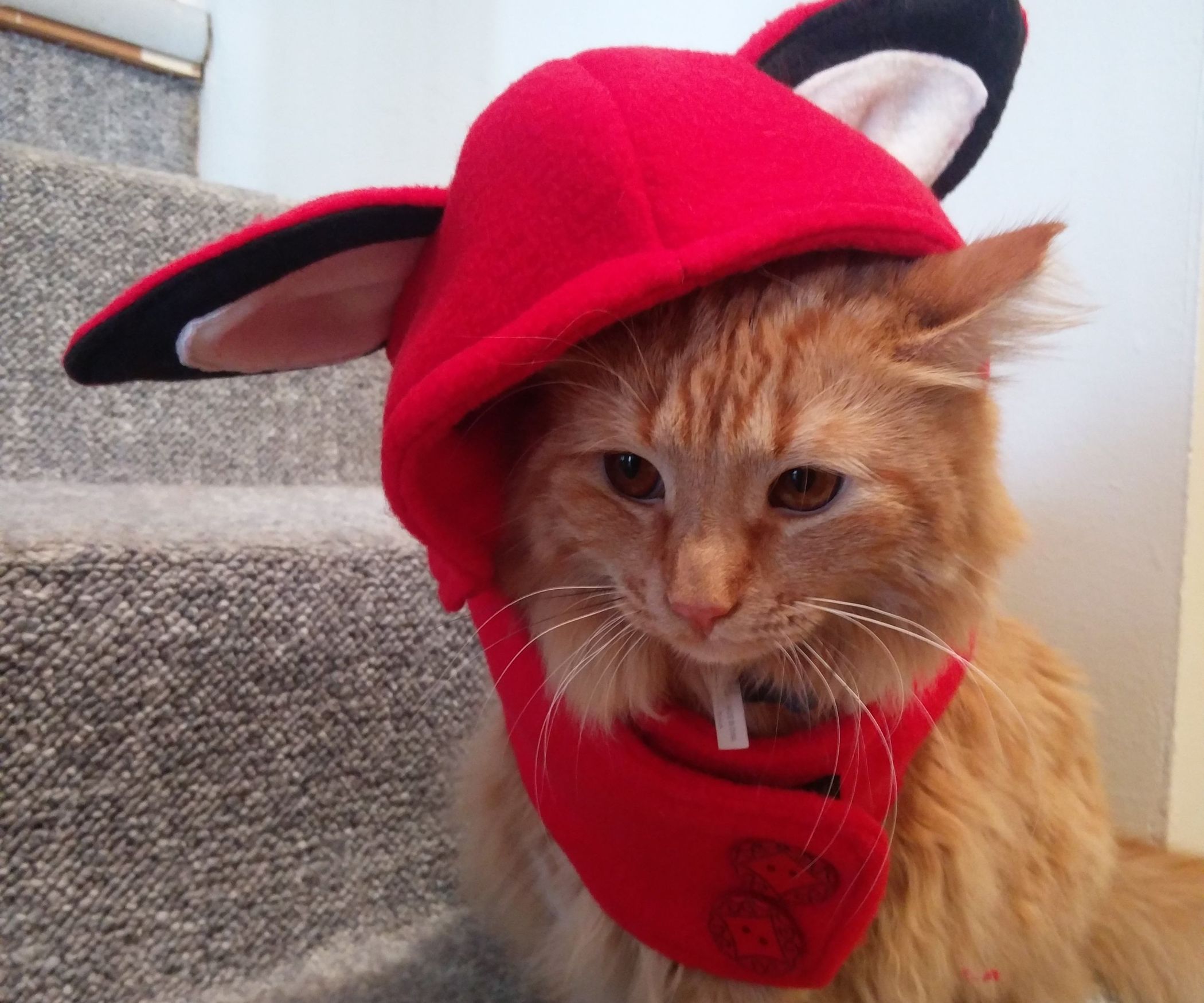 Kids Fox Hat : 7 Steps (with Pictures) - Instructables