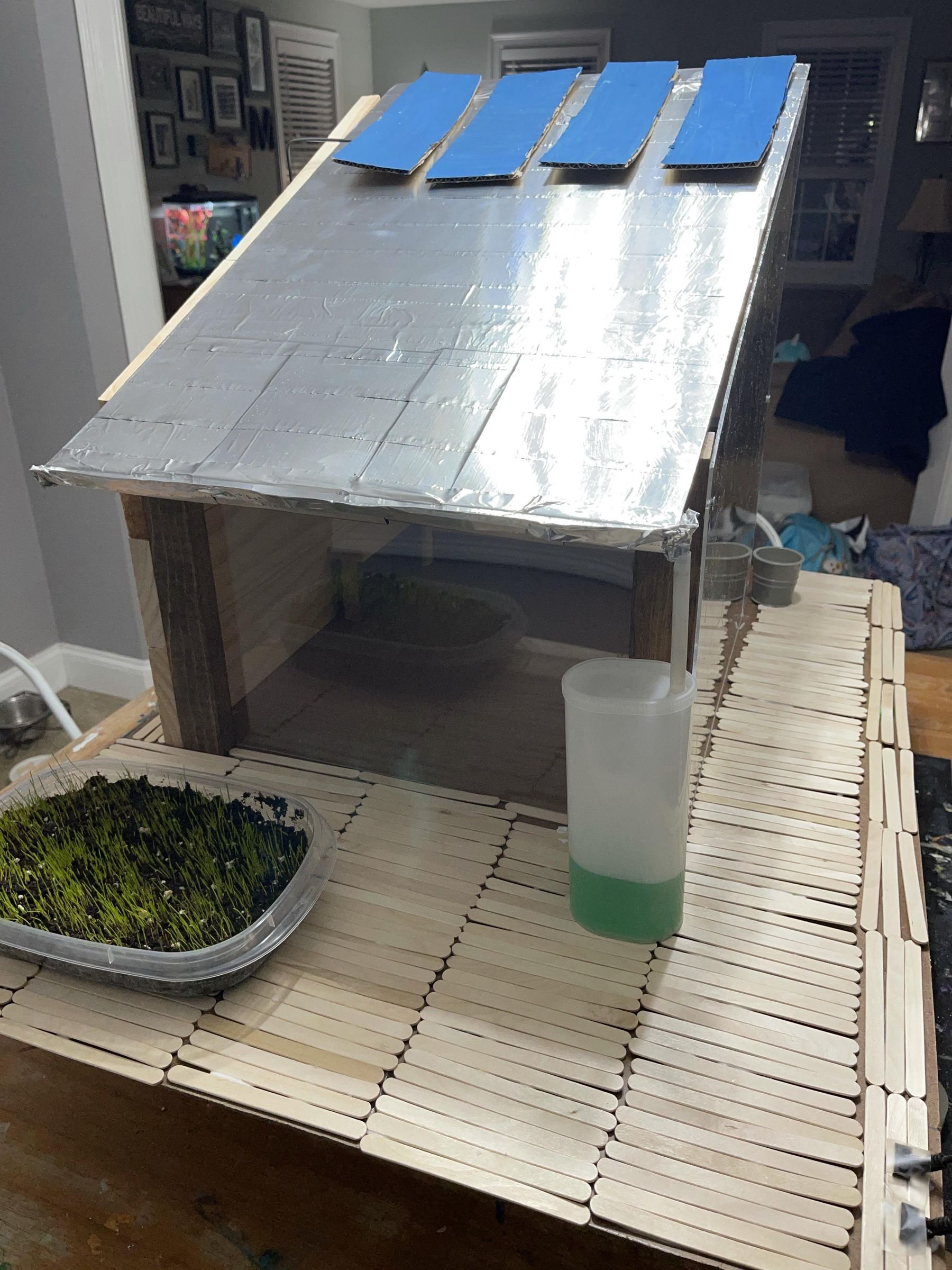 Living in Paradise: Building a Model Sustainable Coral Reef Home : 17 ...
