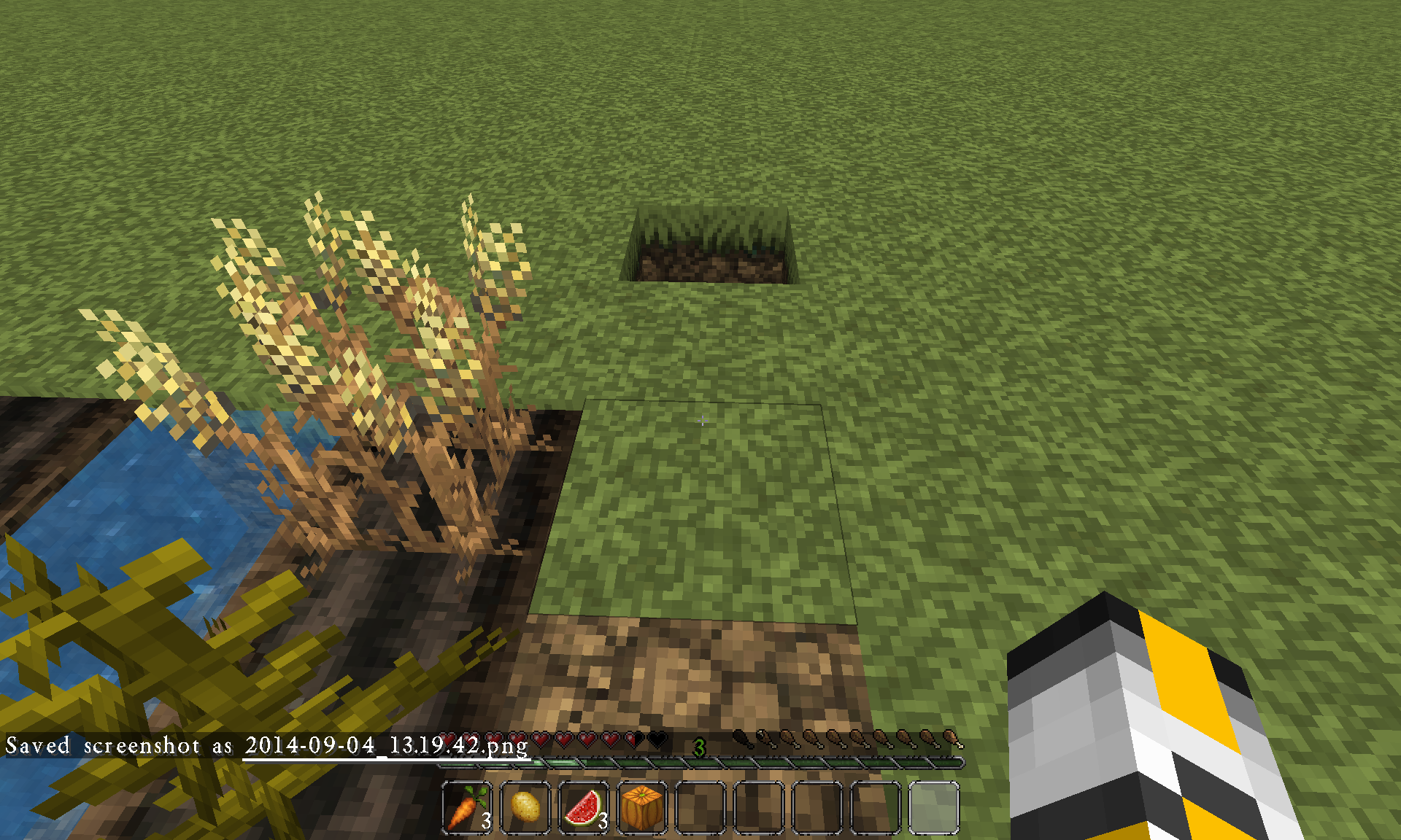 Minecraft Farming 101 : 6 Steps - Instructables
