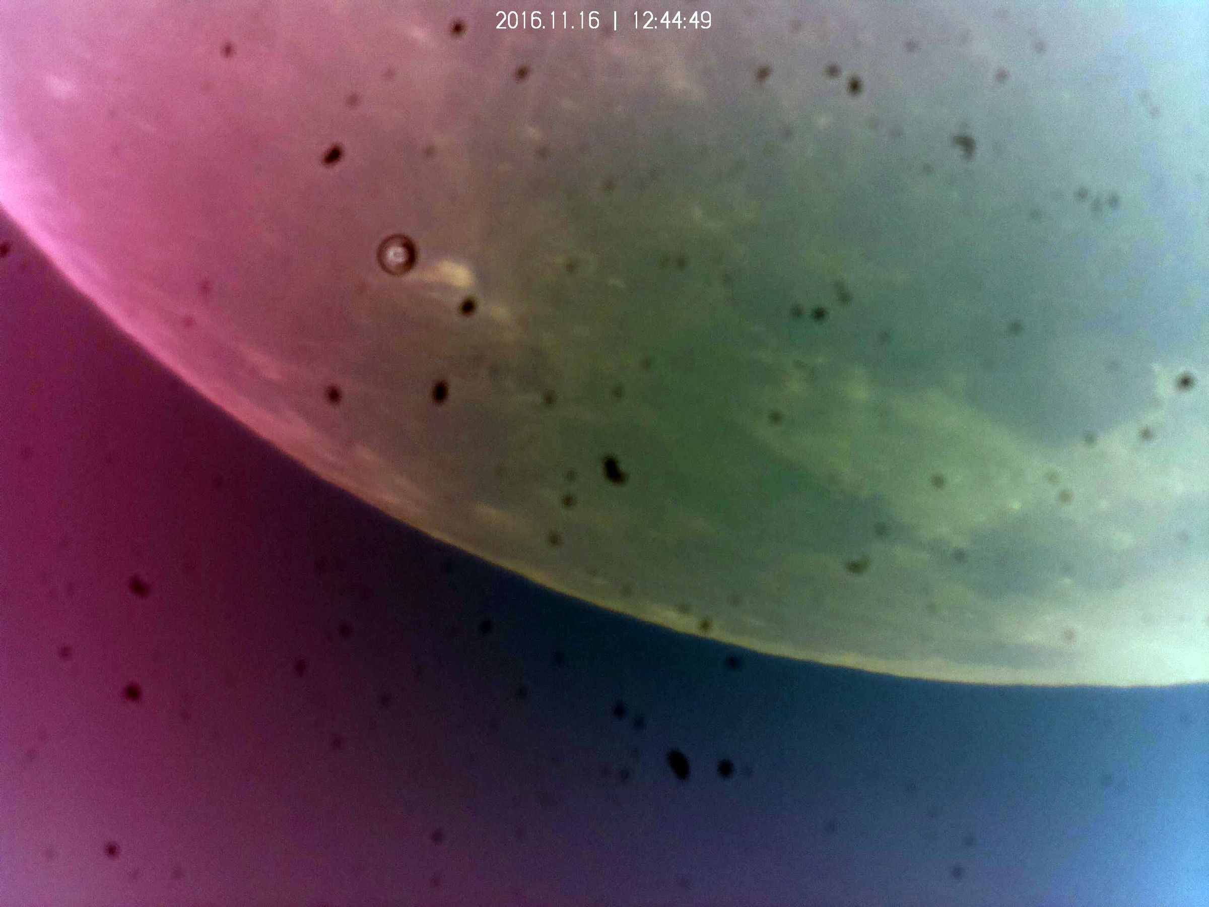 Astrophotography With the Raspberry Pi Zero. : 11 Steps (with Pictures ...