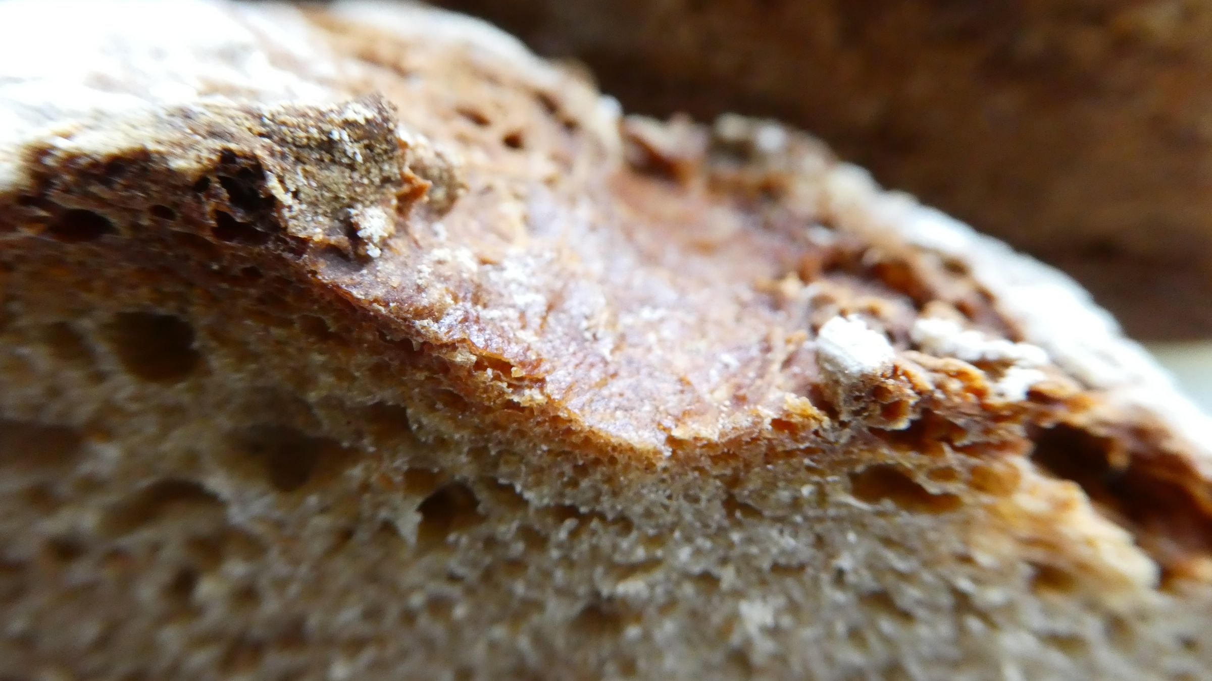 Pure Rye Bread : 31 Steps (with Pictures) - Instructables