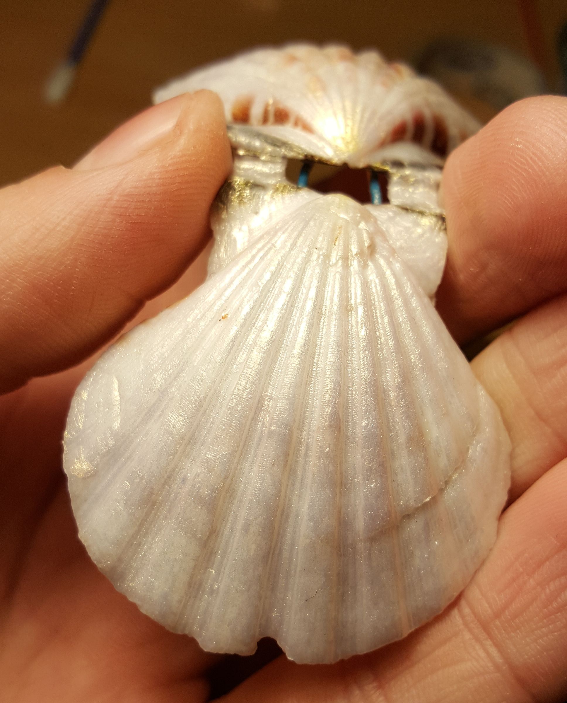 LED-illuminated Seashell Engagement Ring Box : 9 Steps (with Pictures) - Instructables