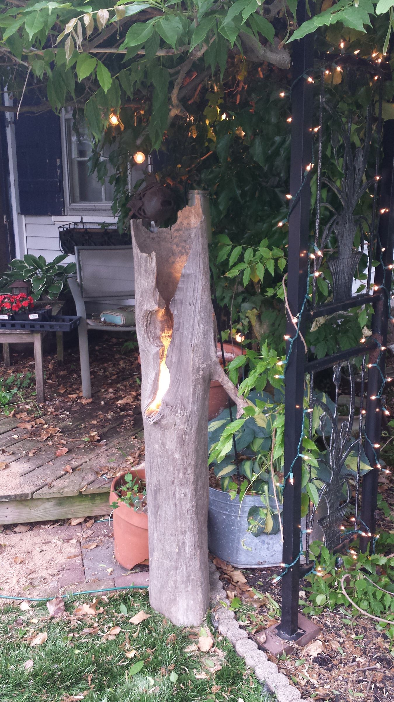 Tree Limb Accent Light : 6 Steps - Instructables