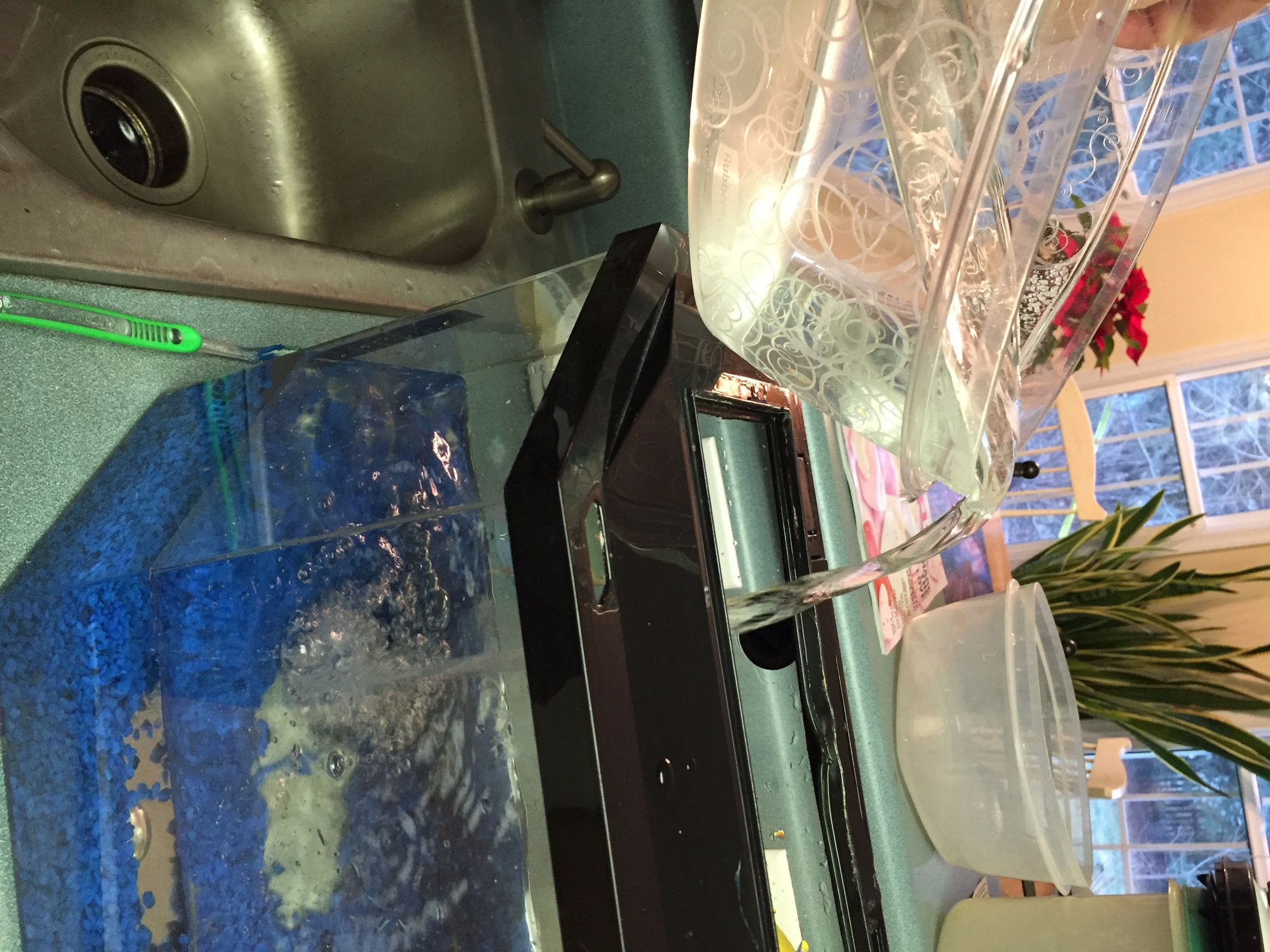 How to Clean Your Small Fish Tank : 7 Steps (with Pictures) - Instructables