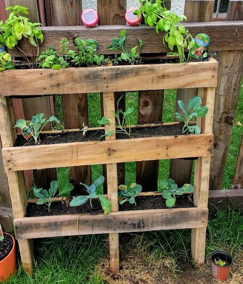Space Saving Pallet Planter : 4 Steps (with Pictures) - Instructables