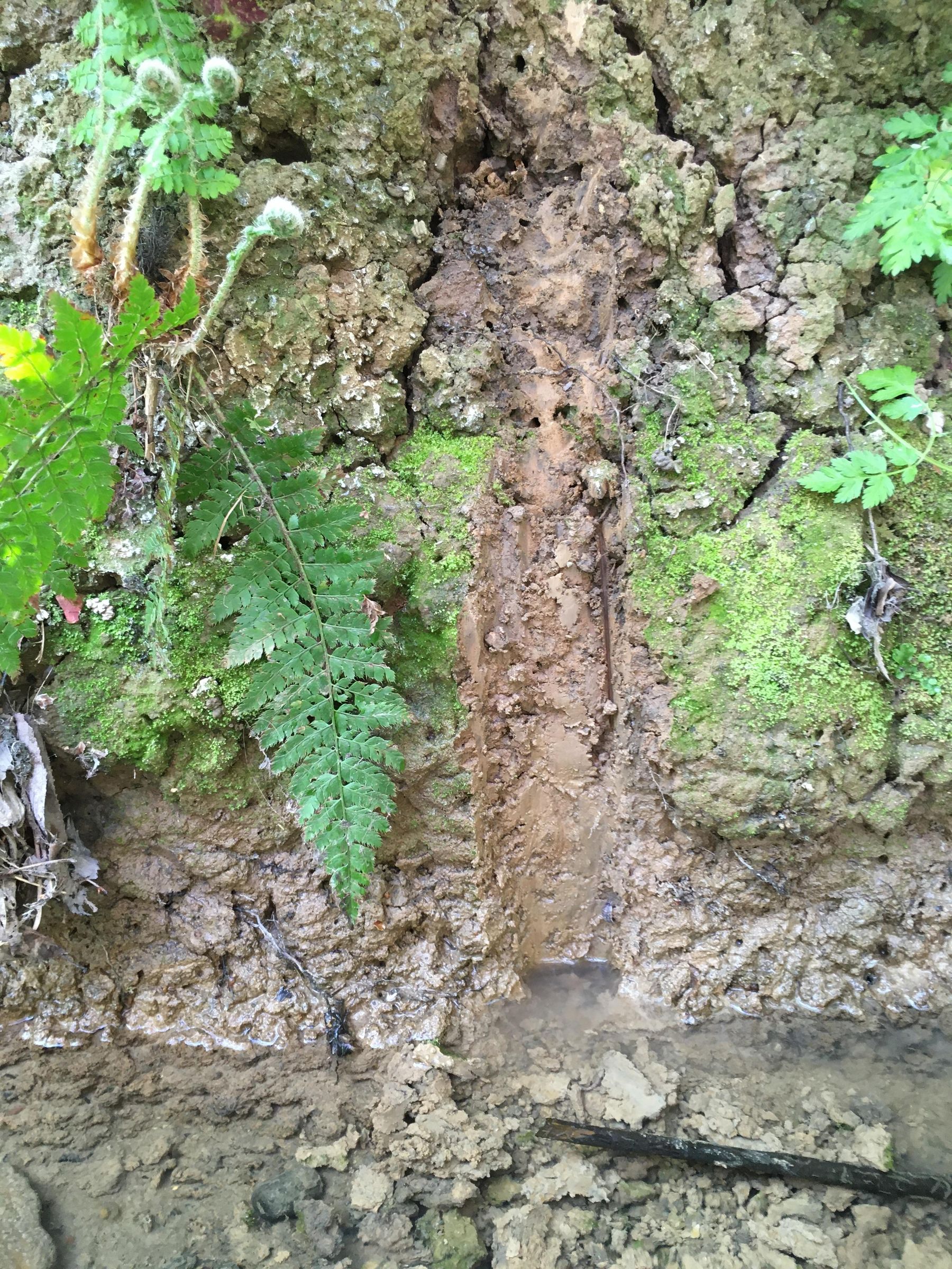 The River Clay Project - From Riverbed to Dining Table : 36 Steps (with ...