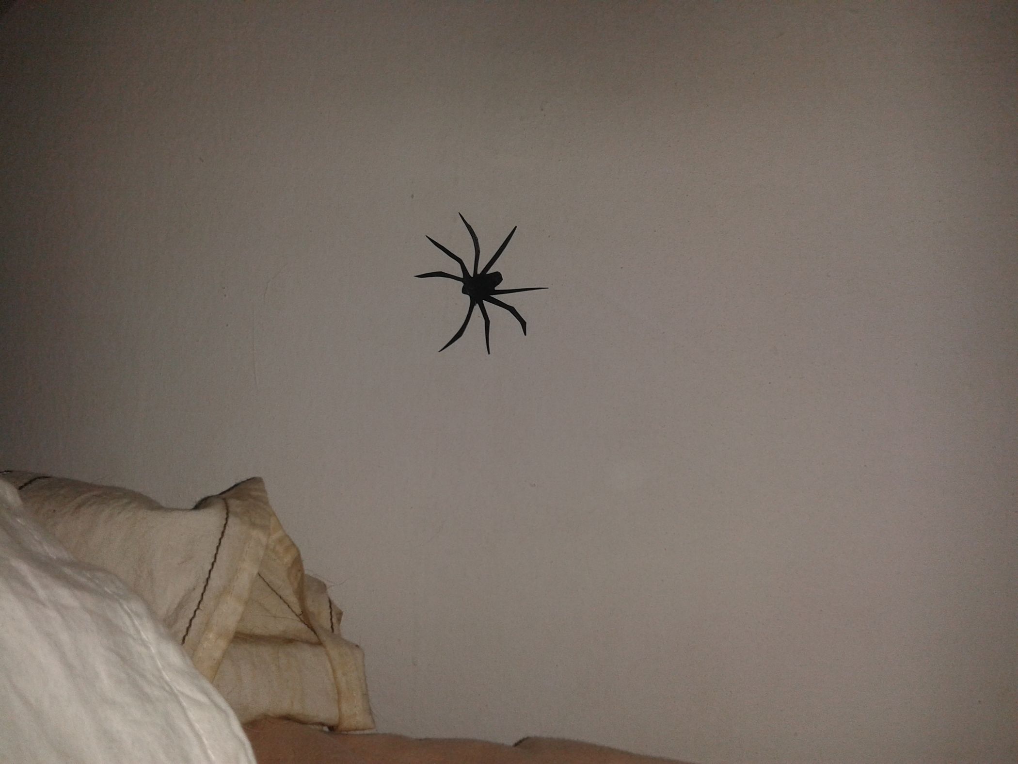 Spider Prank : 3 Steps - Instructables