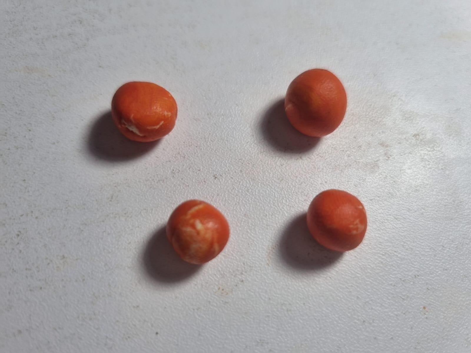 How to Make Plasticine Crazy Cat : 4 Steps - Instructables