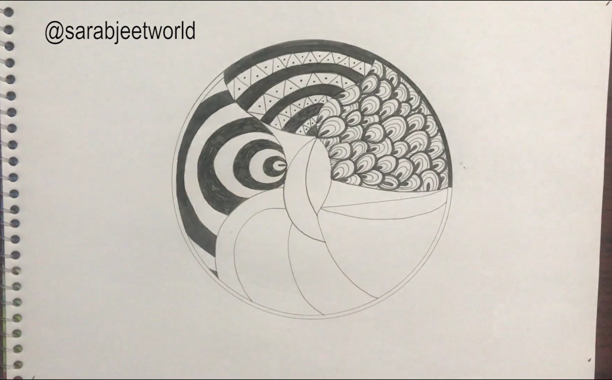 How to Draw Complex Zentangle Art for Beginners Learn : 11 Steps ...