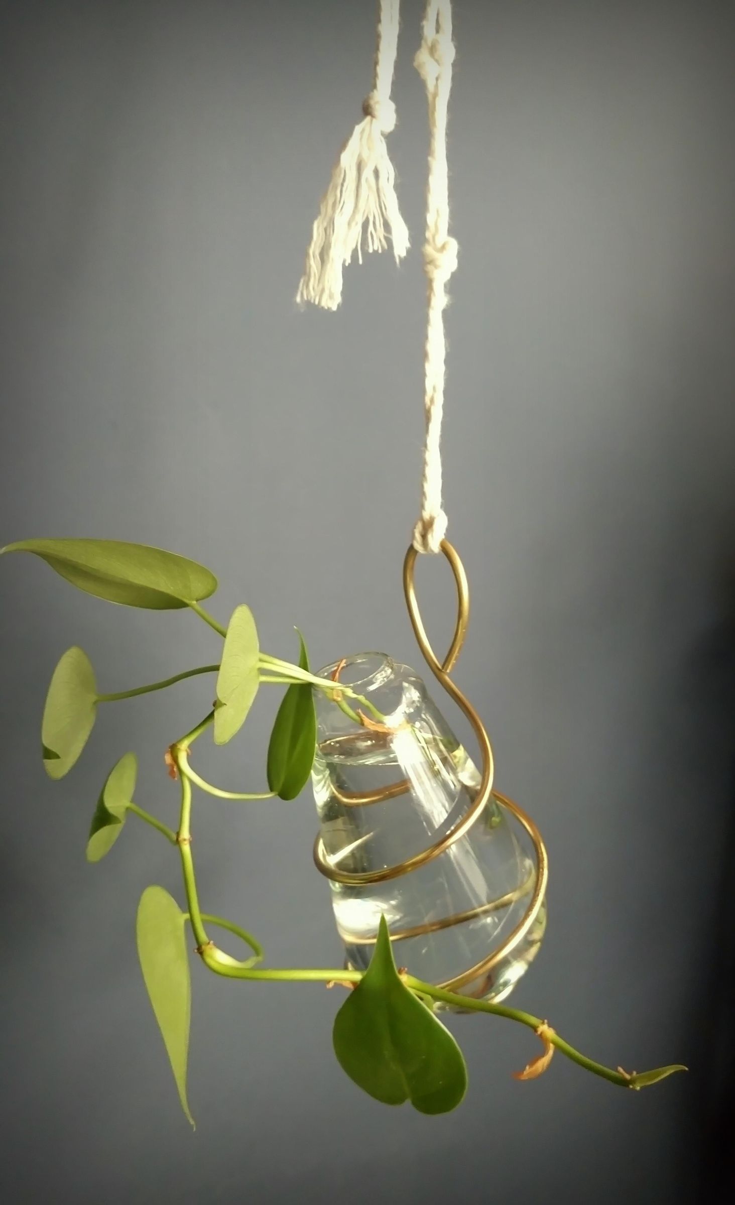 Water Propping Station From Light Bulbs : 8 Steps (with Pictures ...