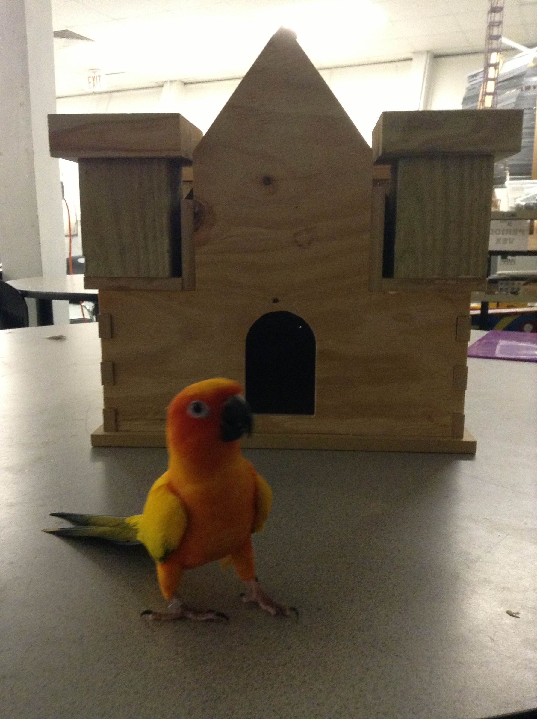 Ultimate Amazing Bird Castle of Awesomeness : 10 Steps (with Pictures ...
