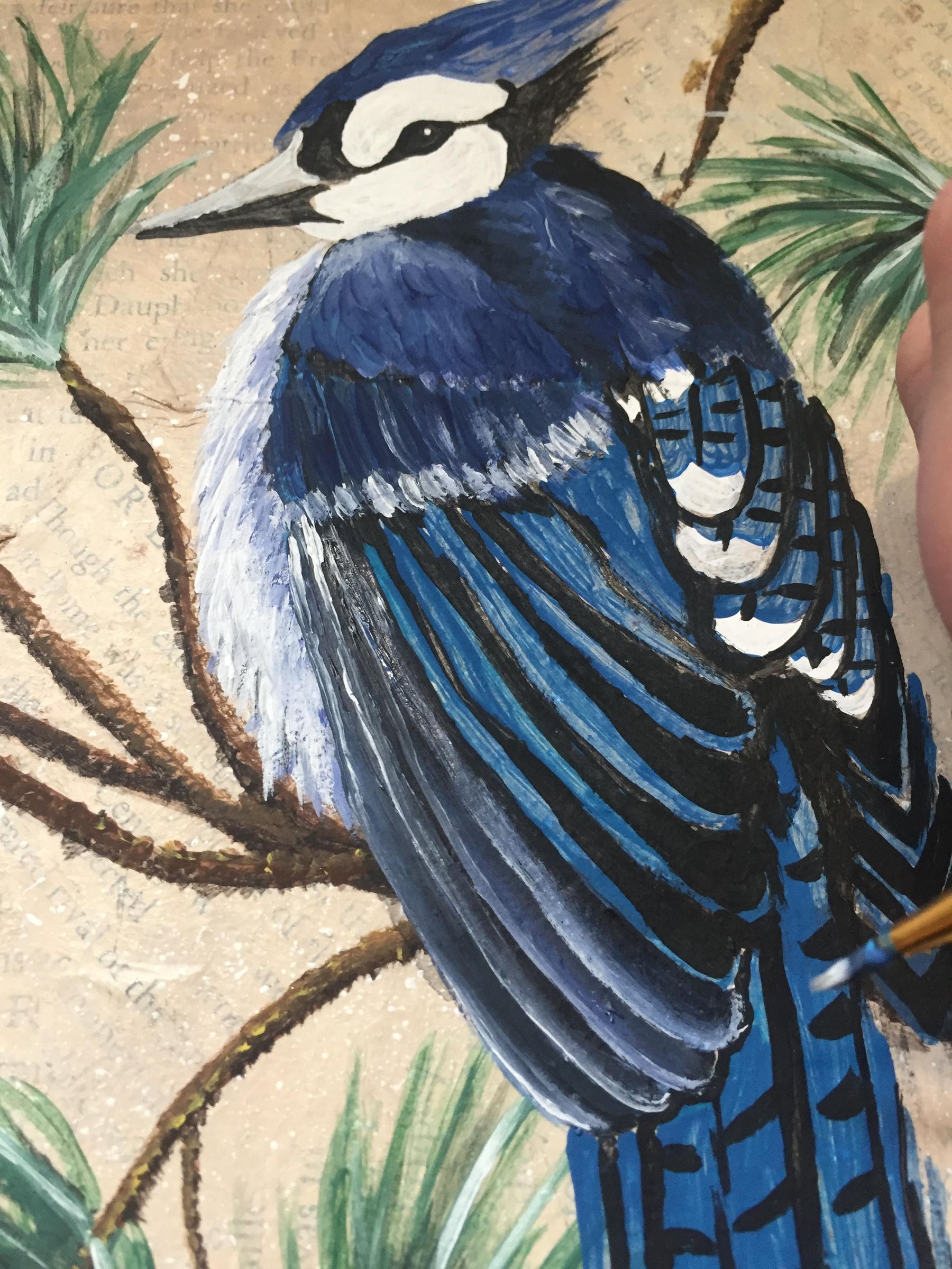 How to Paint a Blue Jay on a Branch. : 13 Steps (with Pictures ...