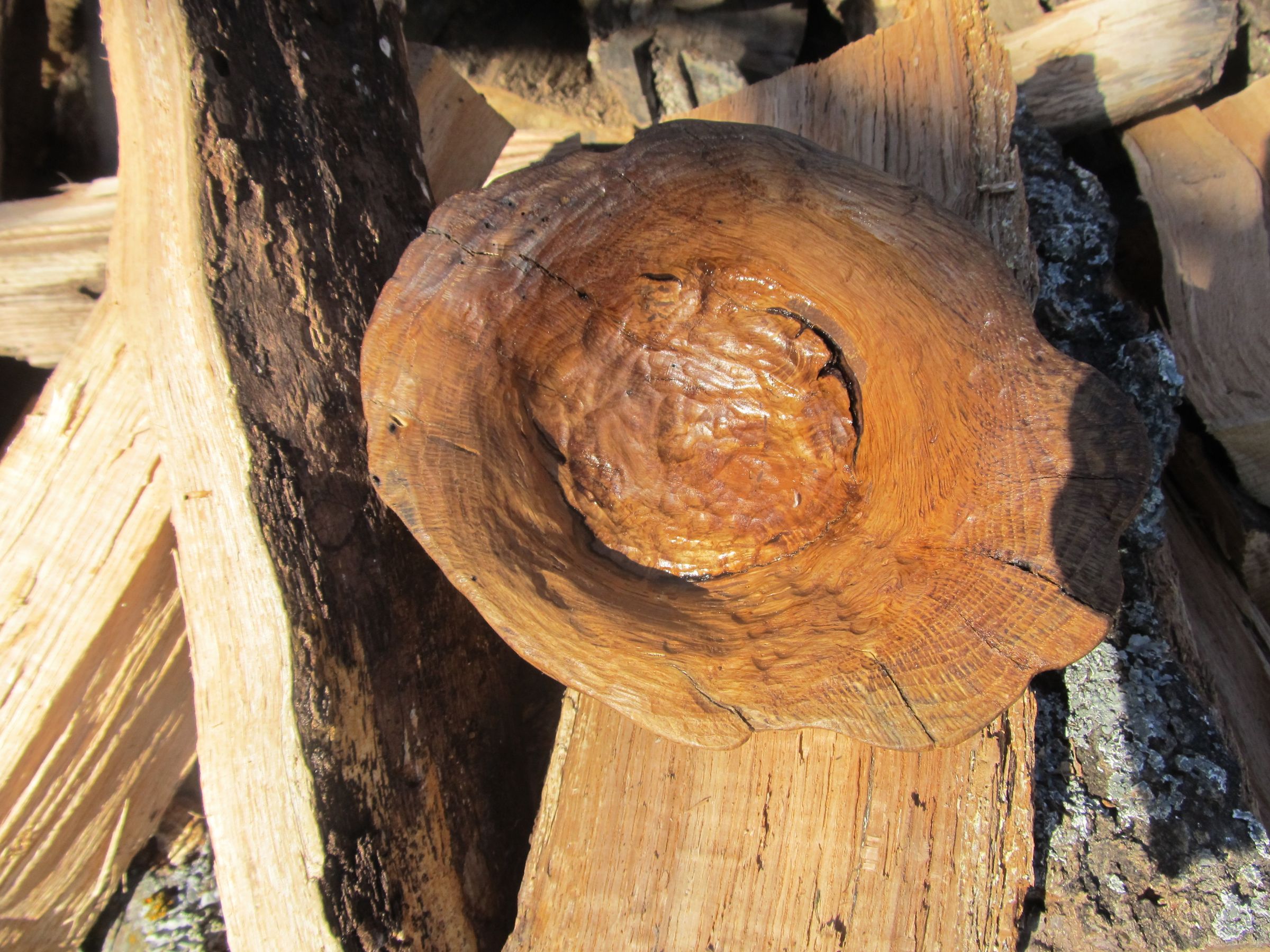 Making a Burl Bowl : 7 Steps (with Pictures) - Instructables