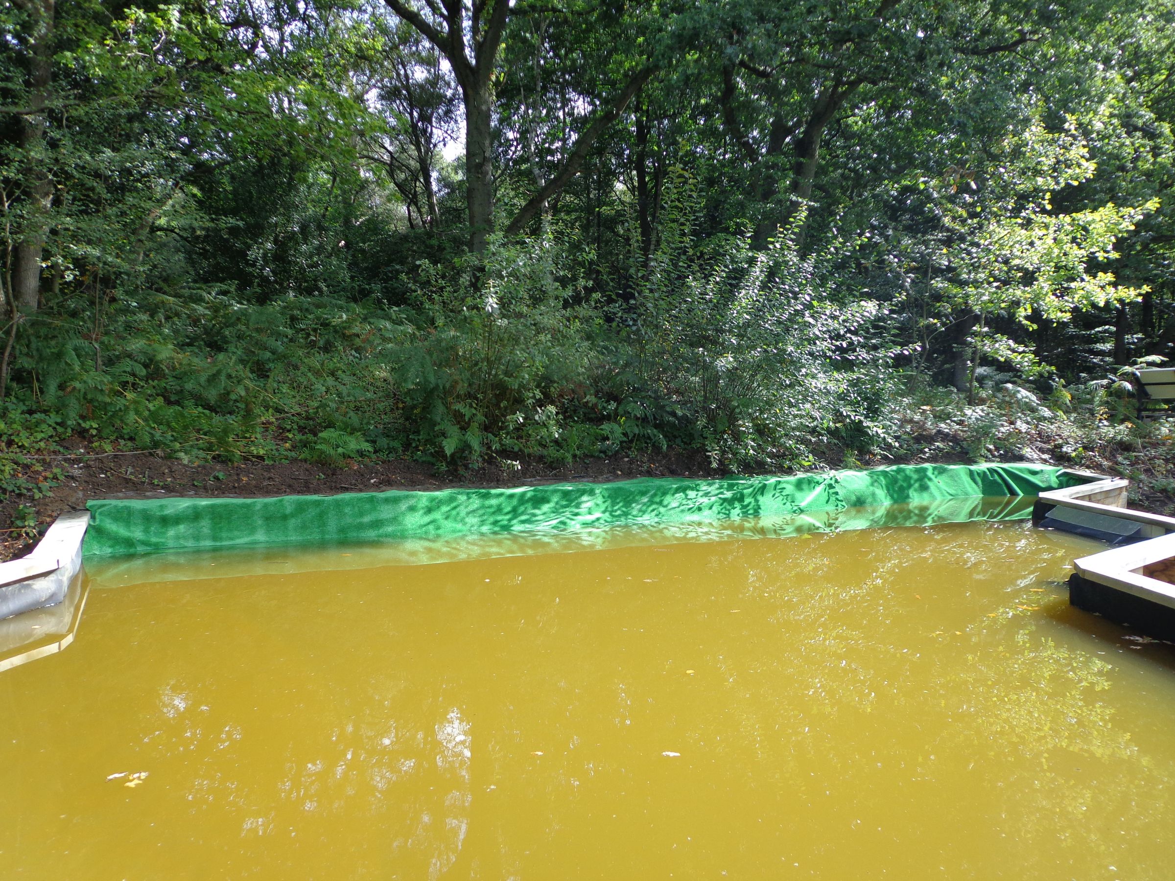 Raised Pond for Wheelchair Users : 9 Steps (with Pictures) - Instructables