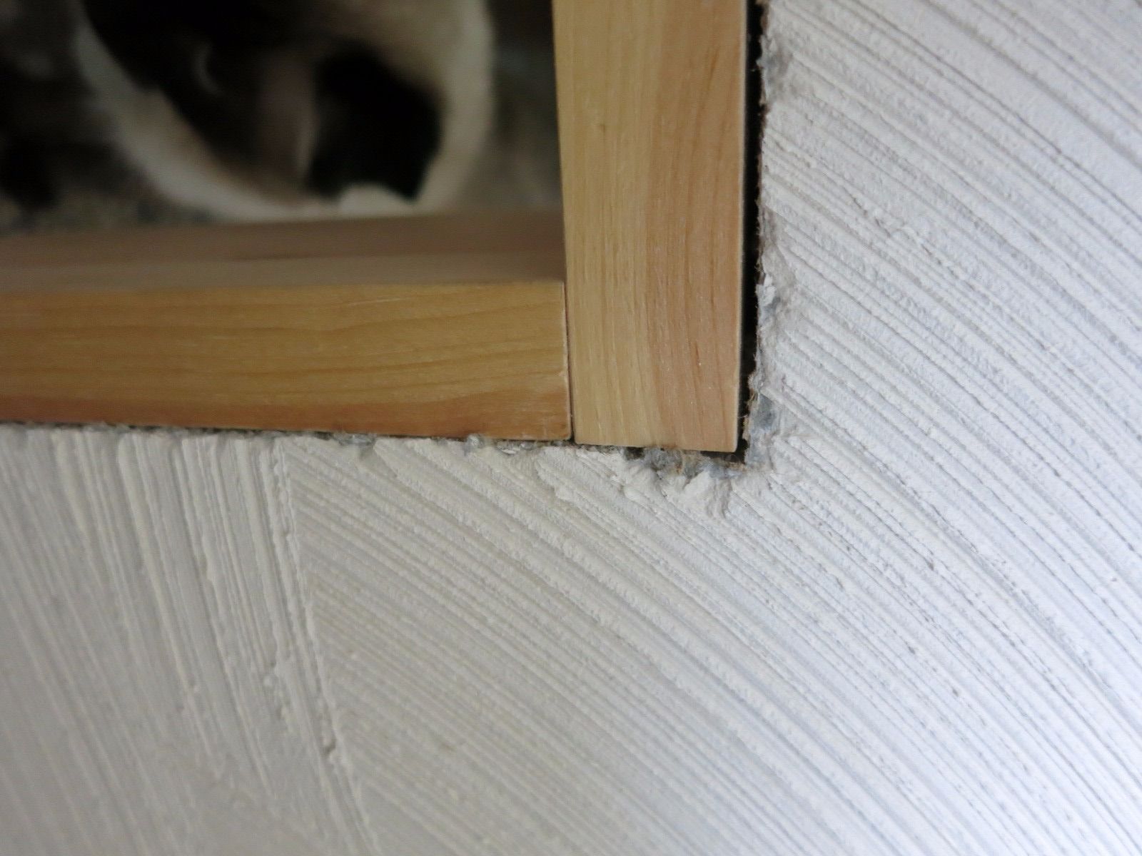 Litter Box Closet Conversion : 5 Steps (with Pictures) - Instructables