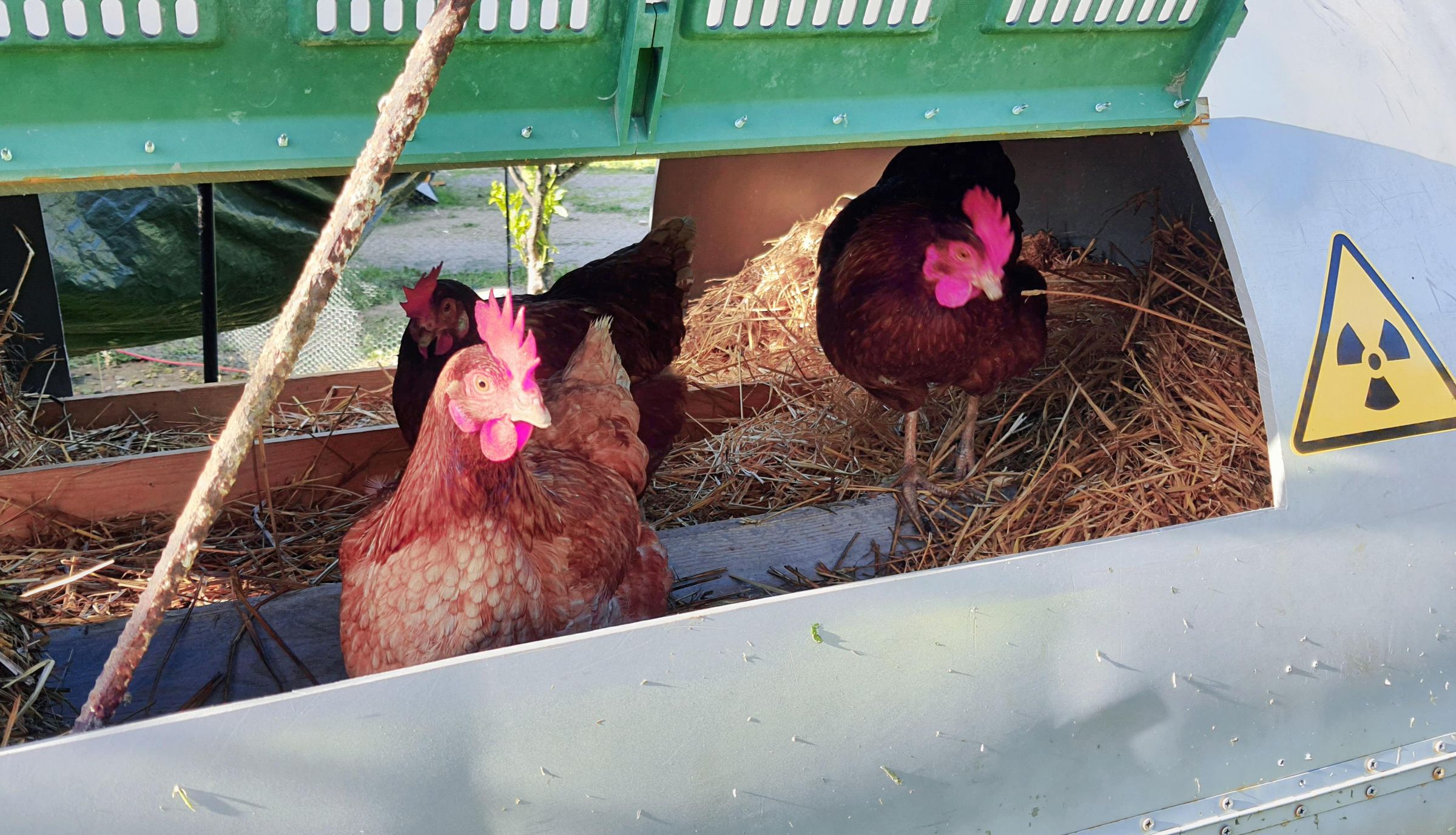 Space Chicken Spaceship Chicken Coop : 13 Steps (with Pictures ...