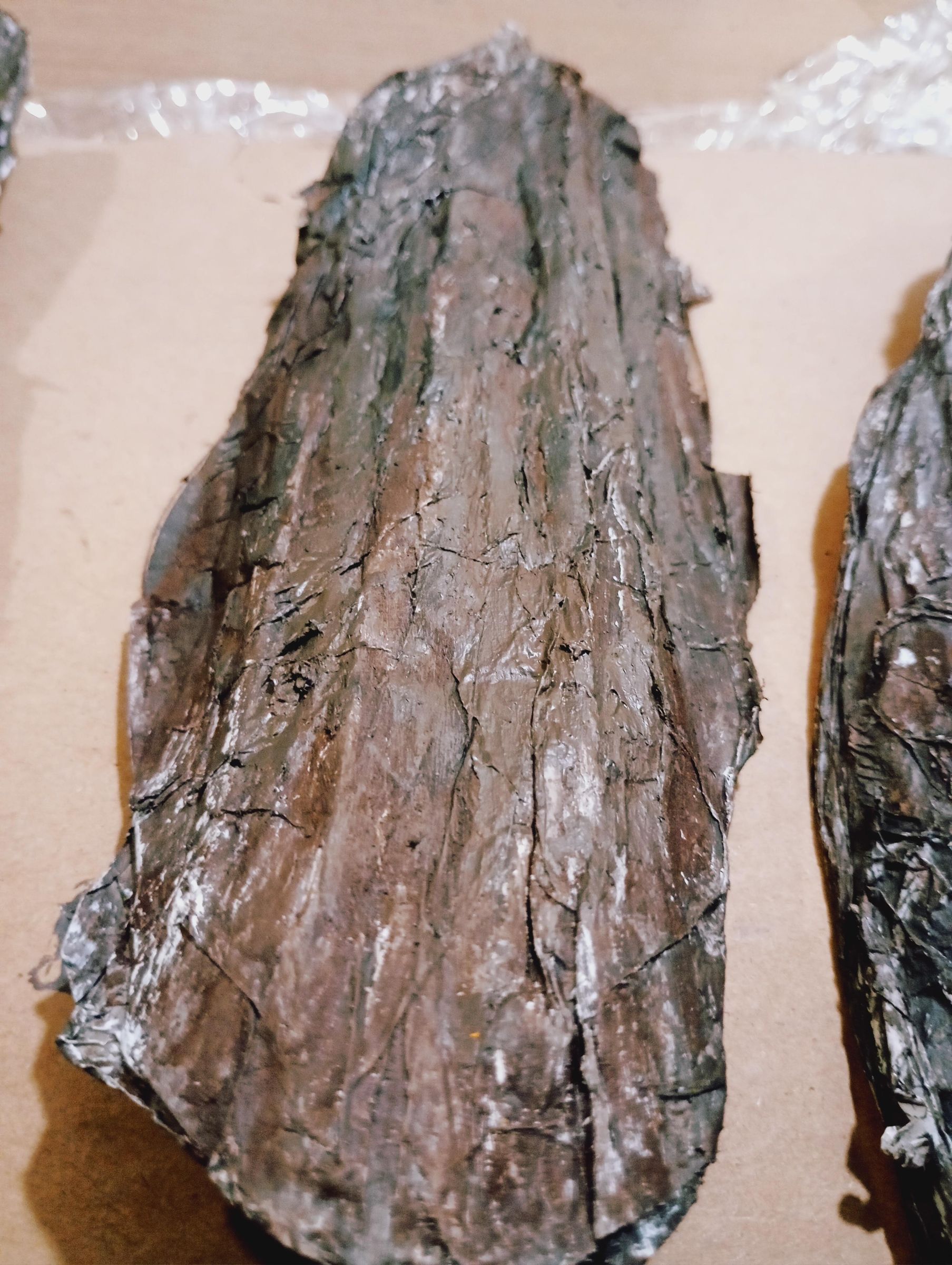 Making Realistic Tree Bark : 7 Steps - Instructables