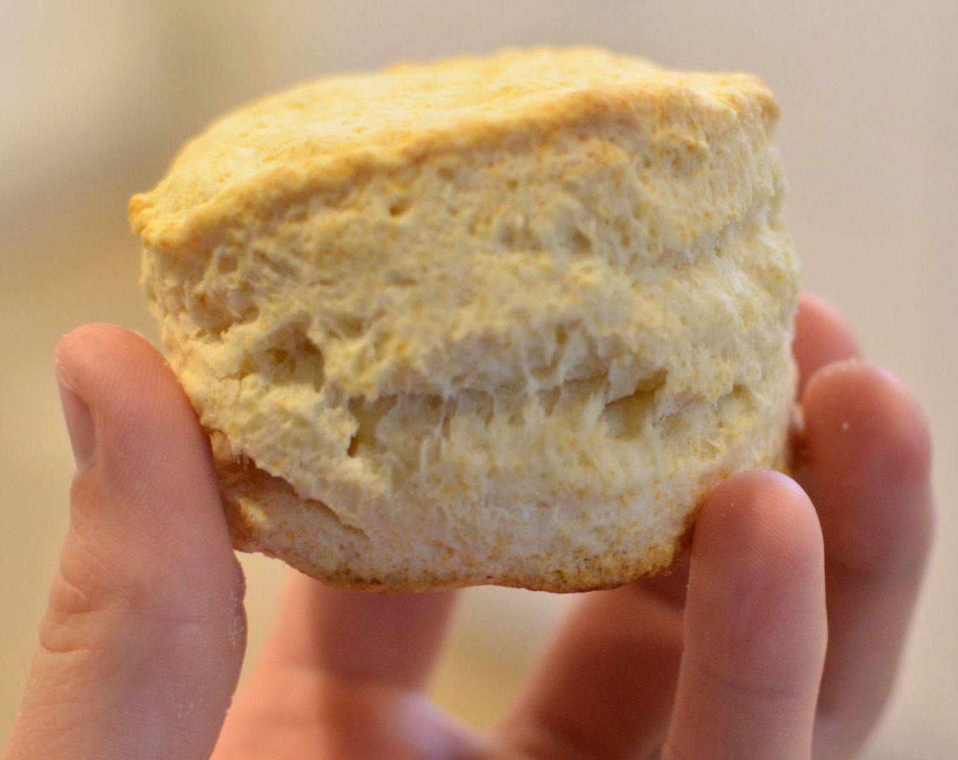 The Science of Biscuits : 14 Steps (with Pictures) - Instructables