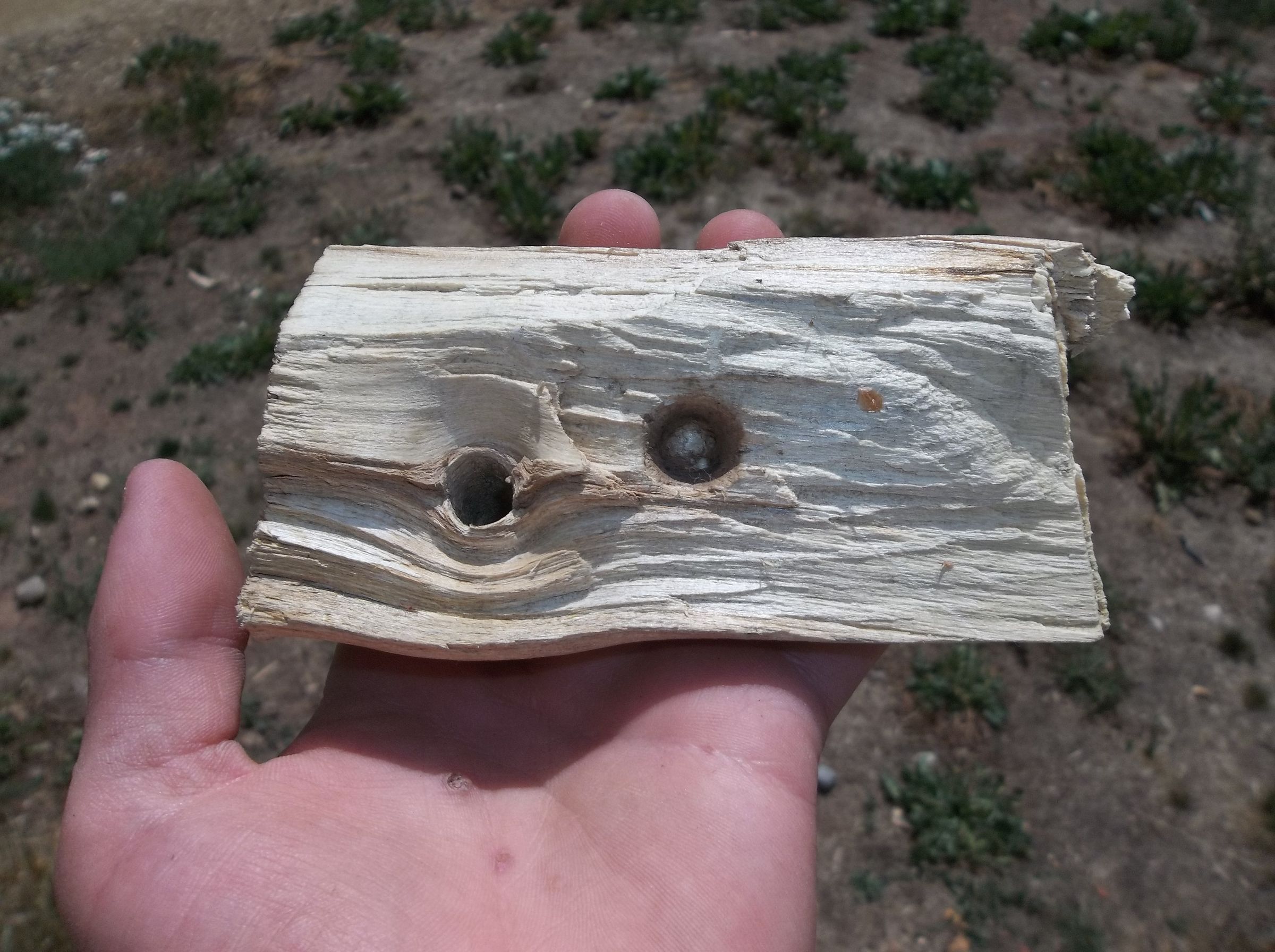 Primitive Fire Starting: the Bow Drill : 9 Steps (with Pictures ...