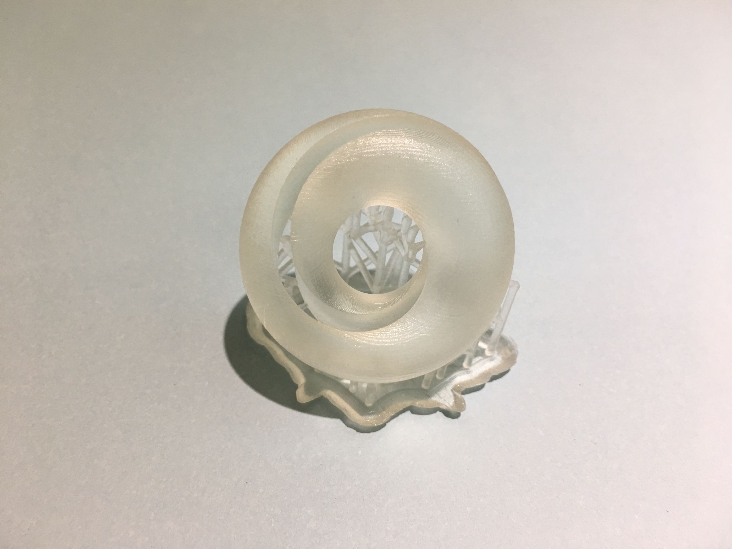 Have Fun With Torus : 9 Steps (with Pictures) - Instructables