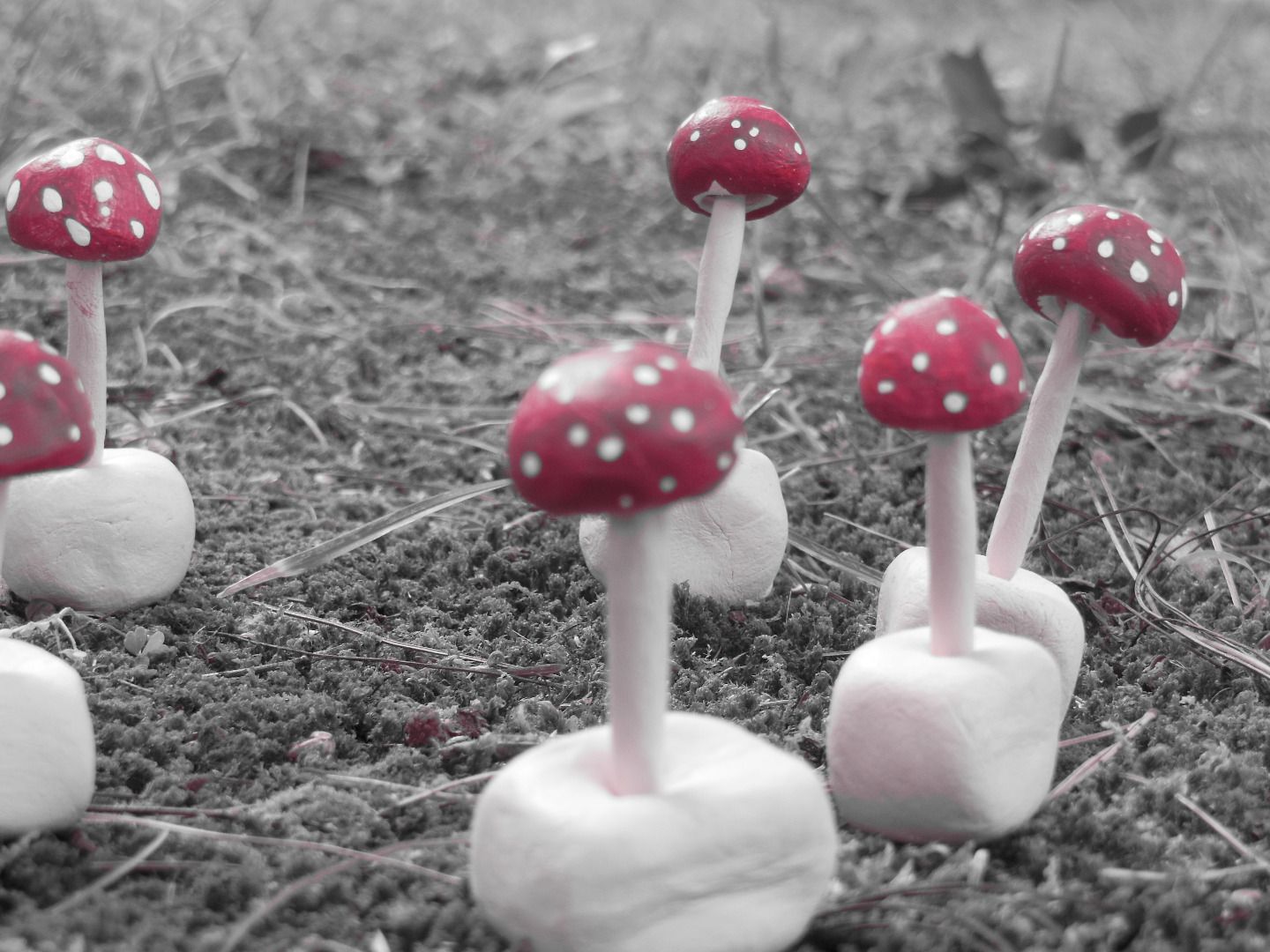 Mini Clay Mushroom Toadstools : 7 Steps - Instructables