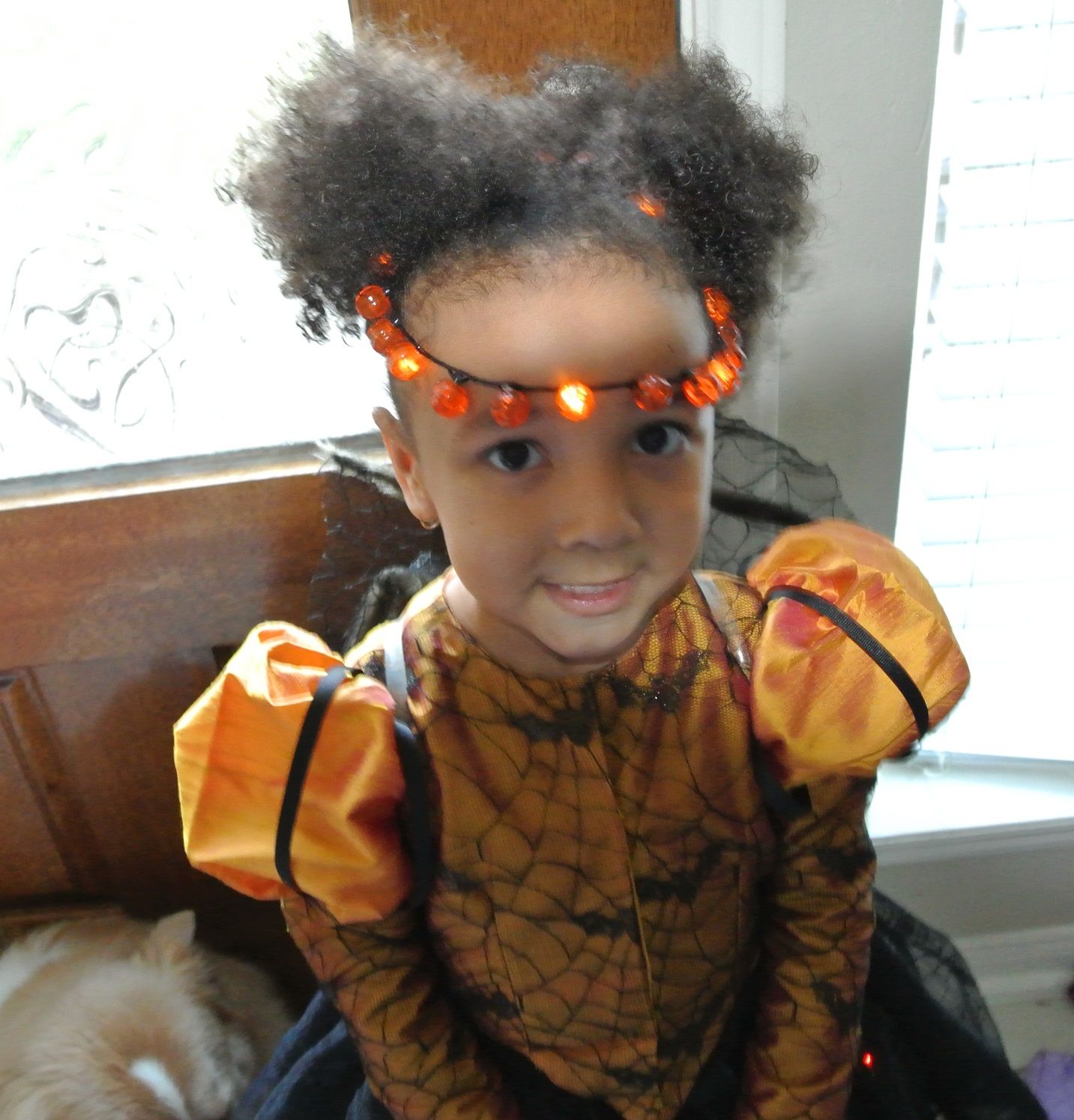 The Spider and His Spider Princess : 4 Steps (with Pictures ...