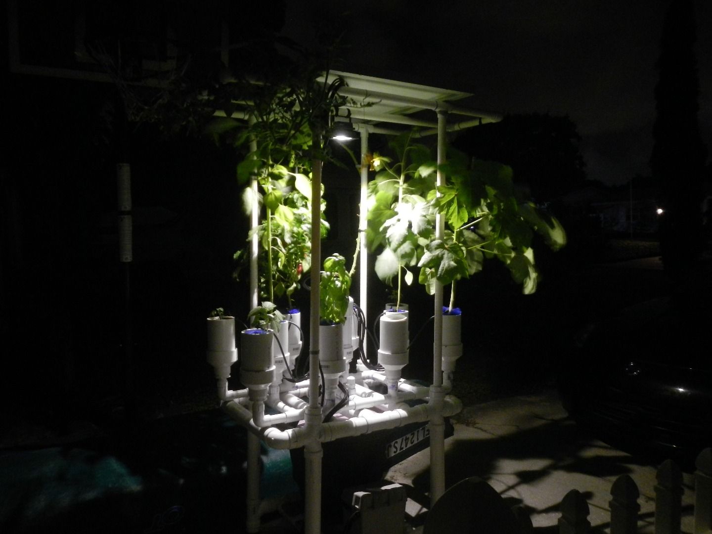 Build This Solar Powered Hydroponic Water Garden on Wheels - MUST READ ...