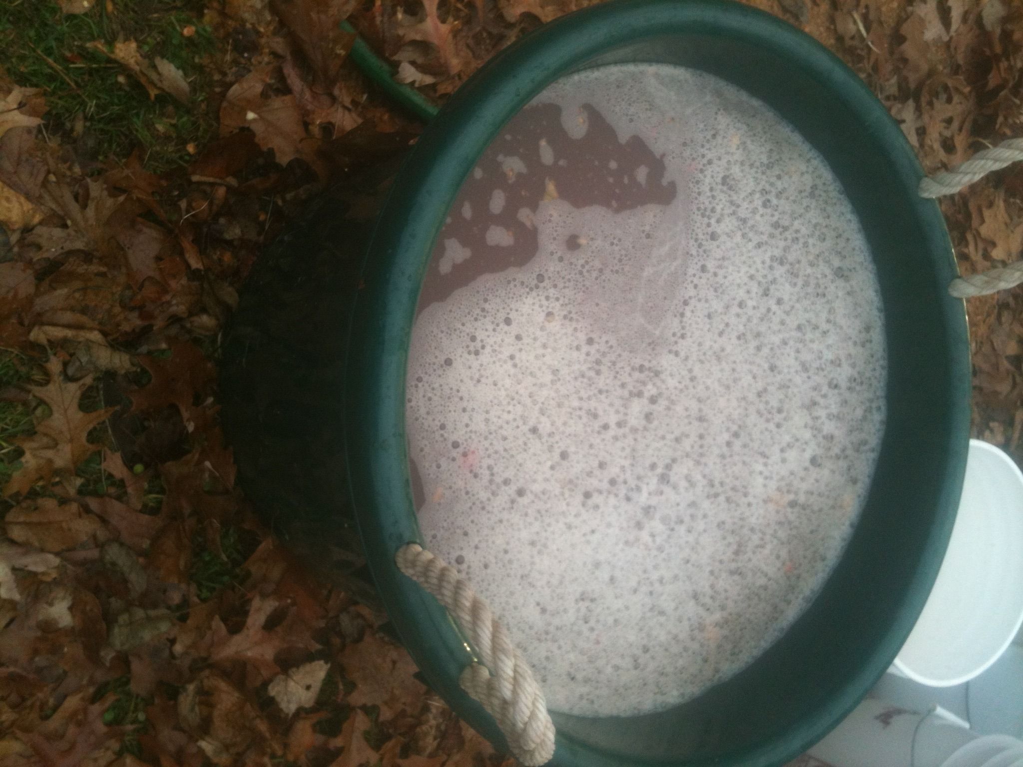 Apple Press and Apple Grinder - on the Cheap : 5 Steps (with Pictures ...