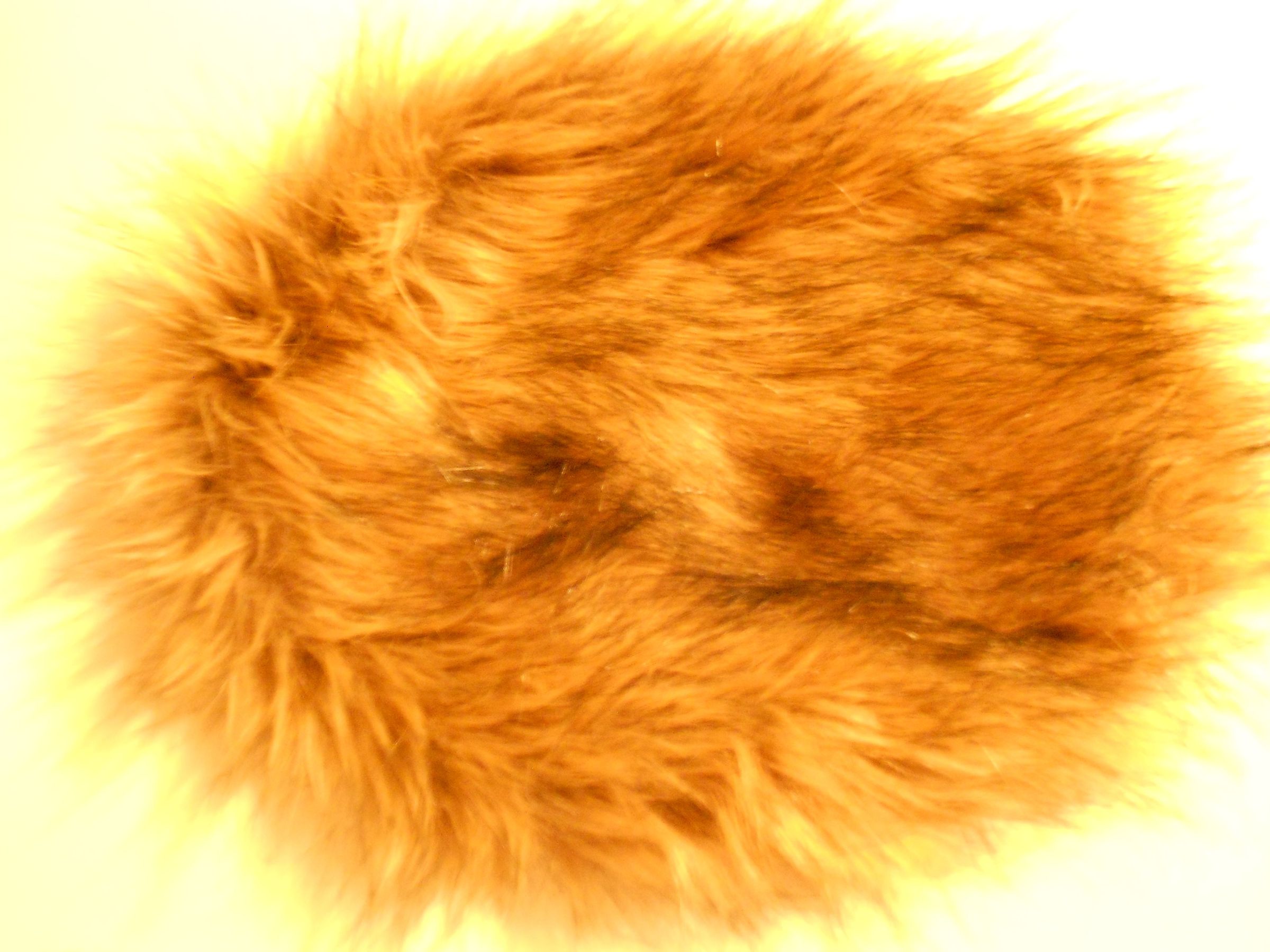 Tribble Calculator : 8 Steps (with Pictures) - Instructables