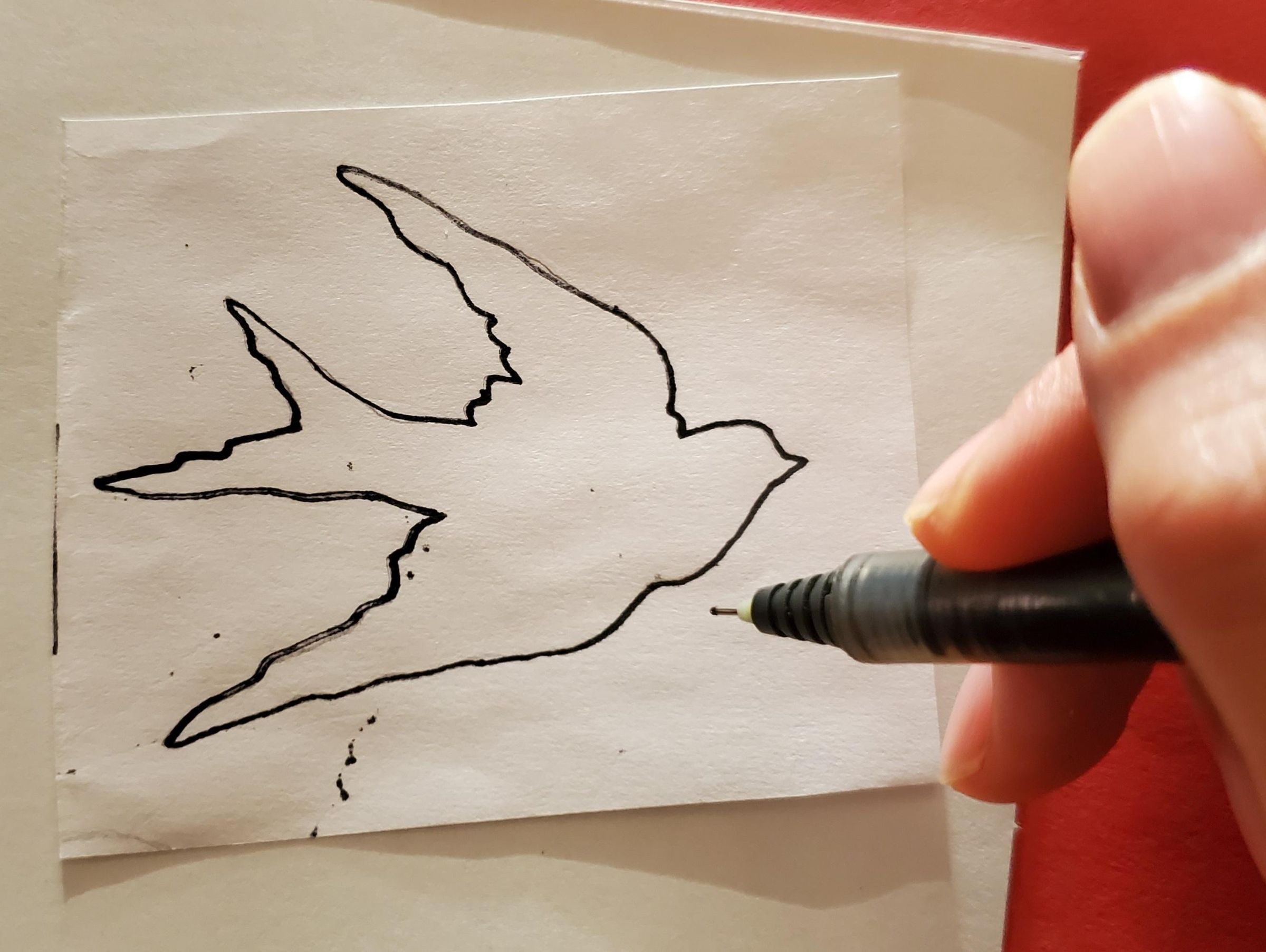 How To Draw Divergent Birds
