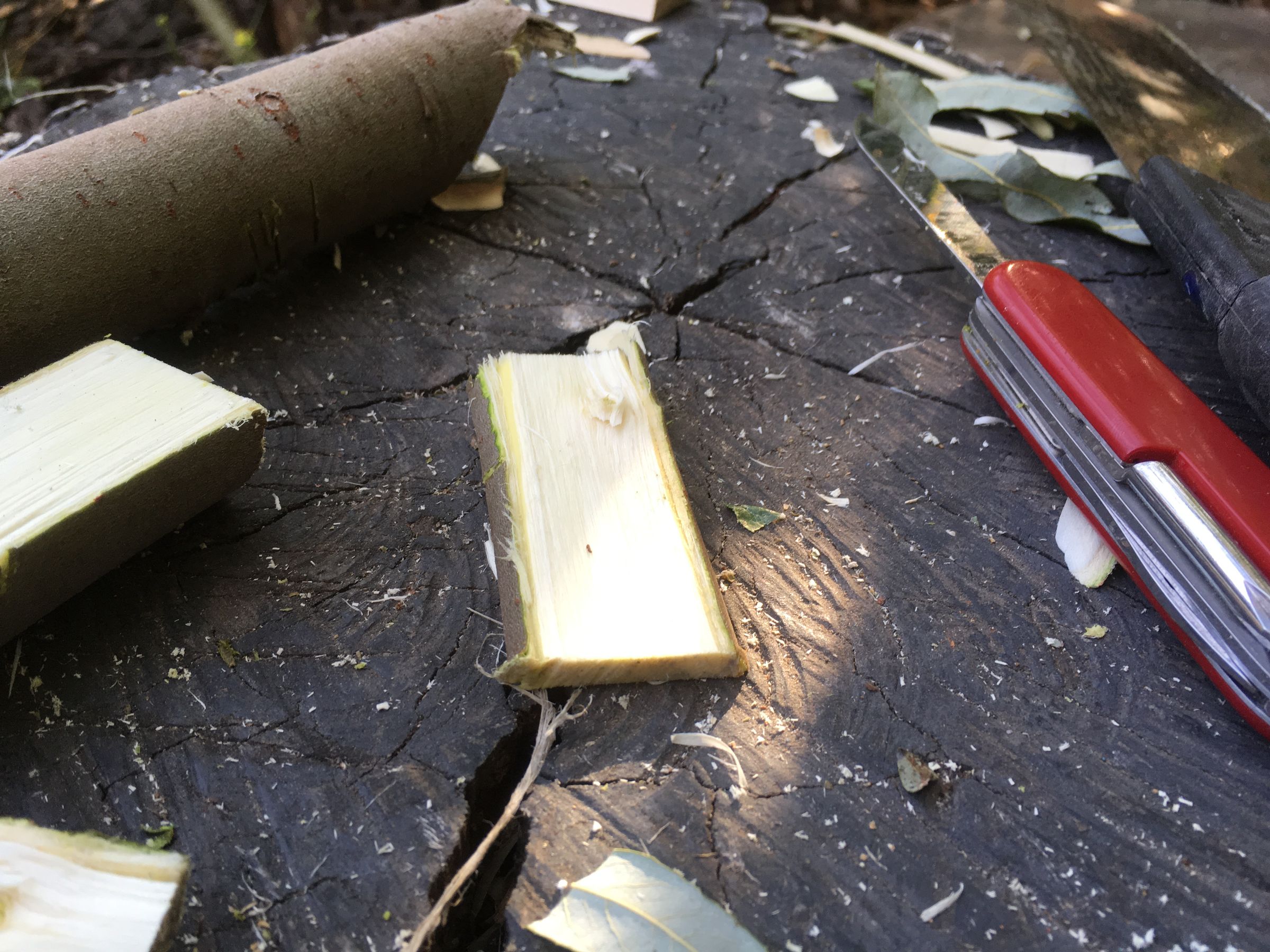 5 Super-easy Branch Carving Projects : 10 Steps (with Pictures ...