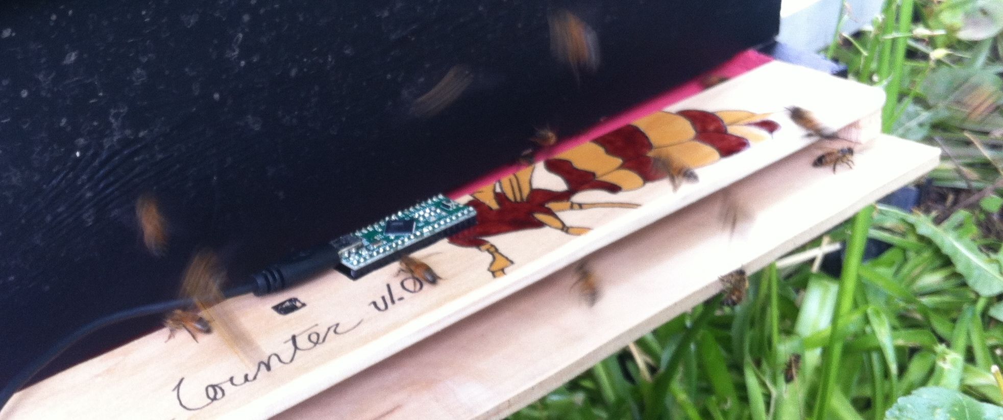 Honey Bee Counter : 4 Steps (with Pictures) - Instructables