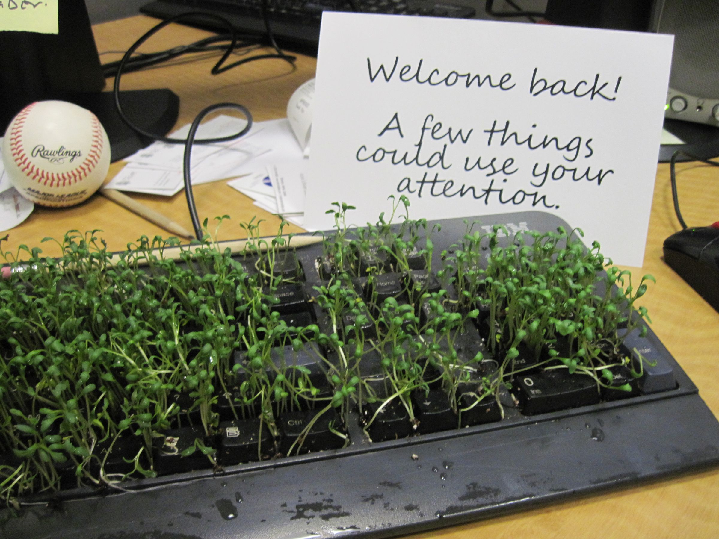 Grow a Keyboard : 10 Steps (with Pictures) - Instructables