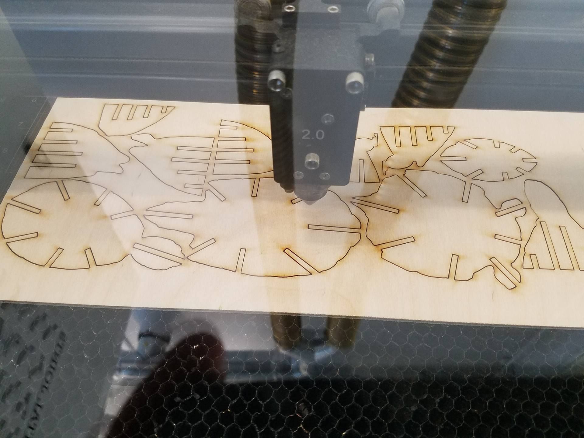 Laser Cut Turtle : 3 Steps (with Pictures) - Instructables