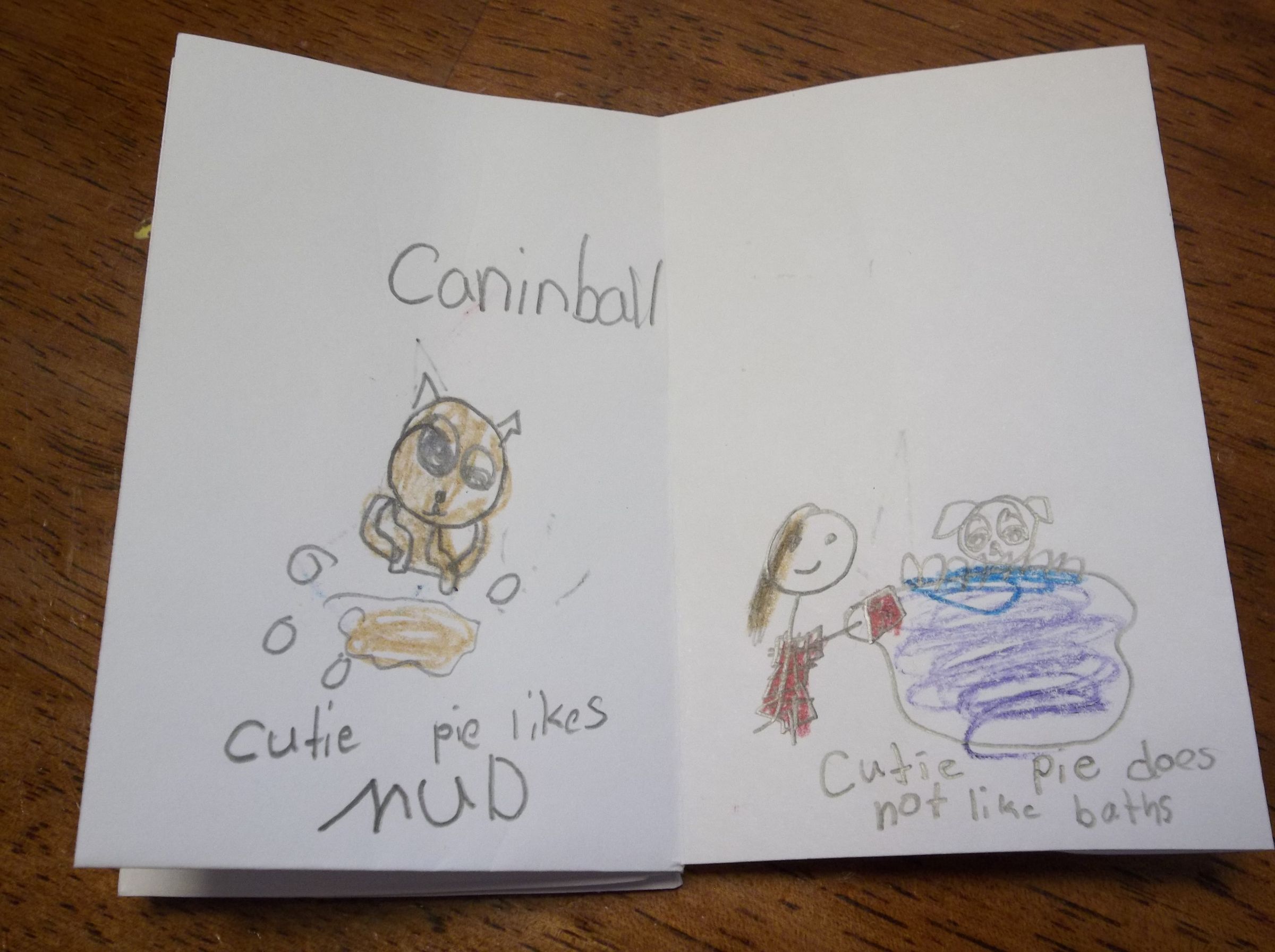 Poof Books : 8 Steps - Instructables